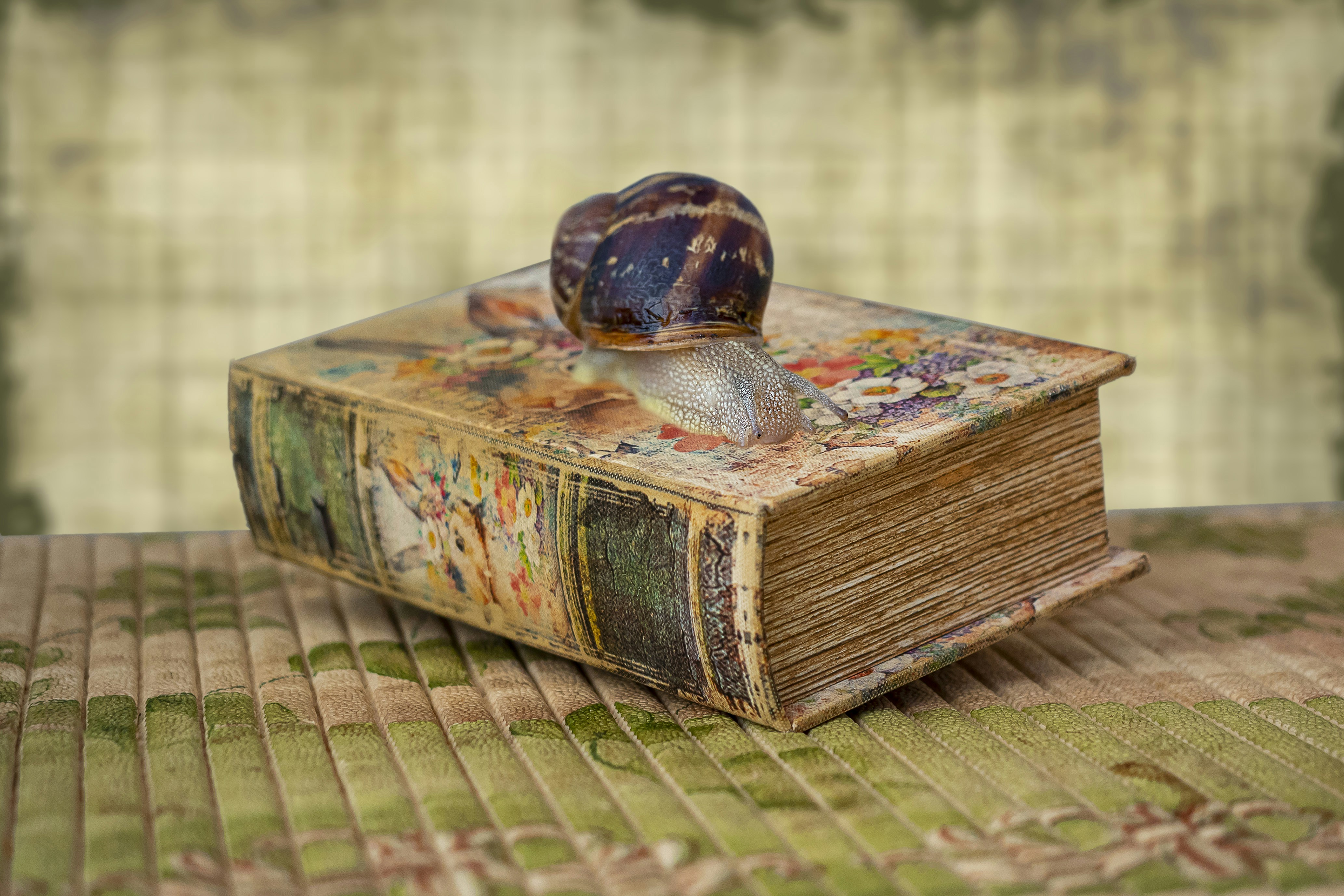Shellbound Bookmark: A snail rests on a timeworn tome