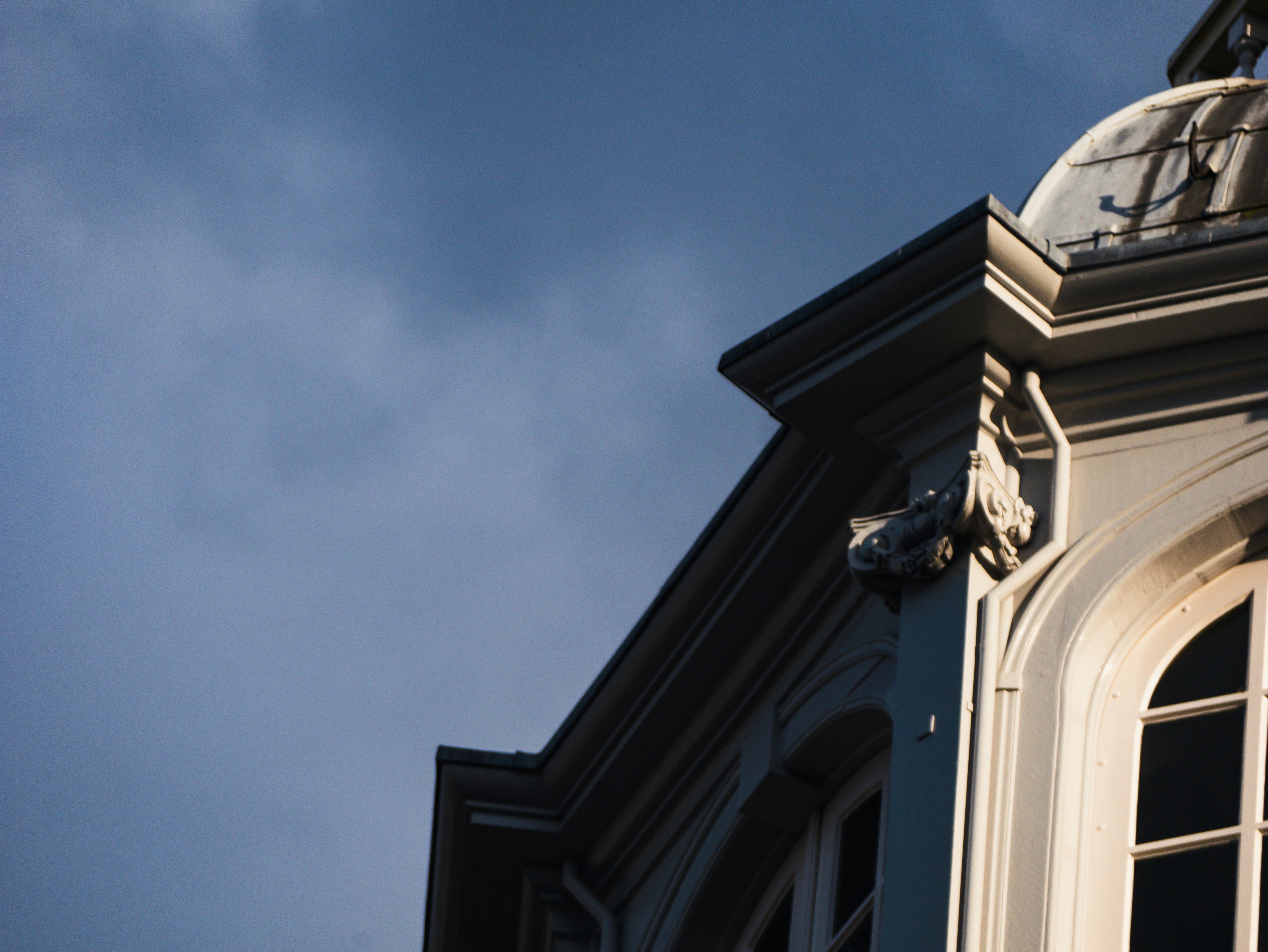 Photo by Koen Dorst with Panasonic Lumix G7