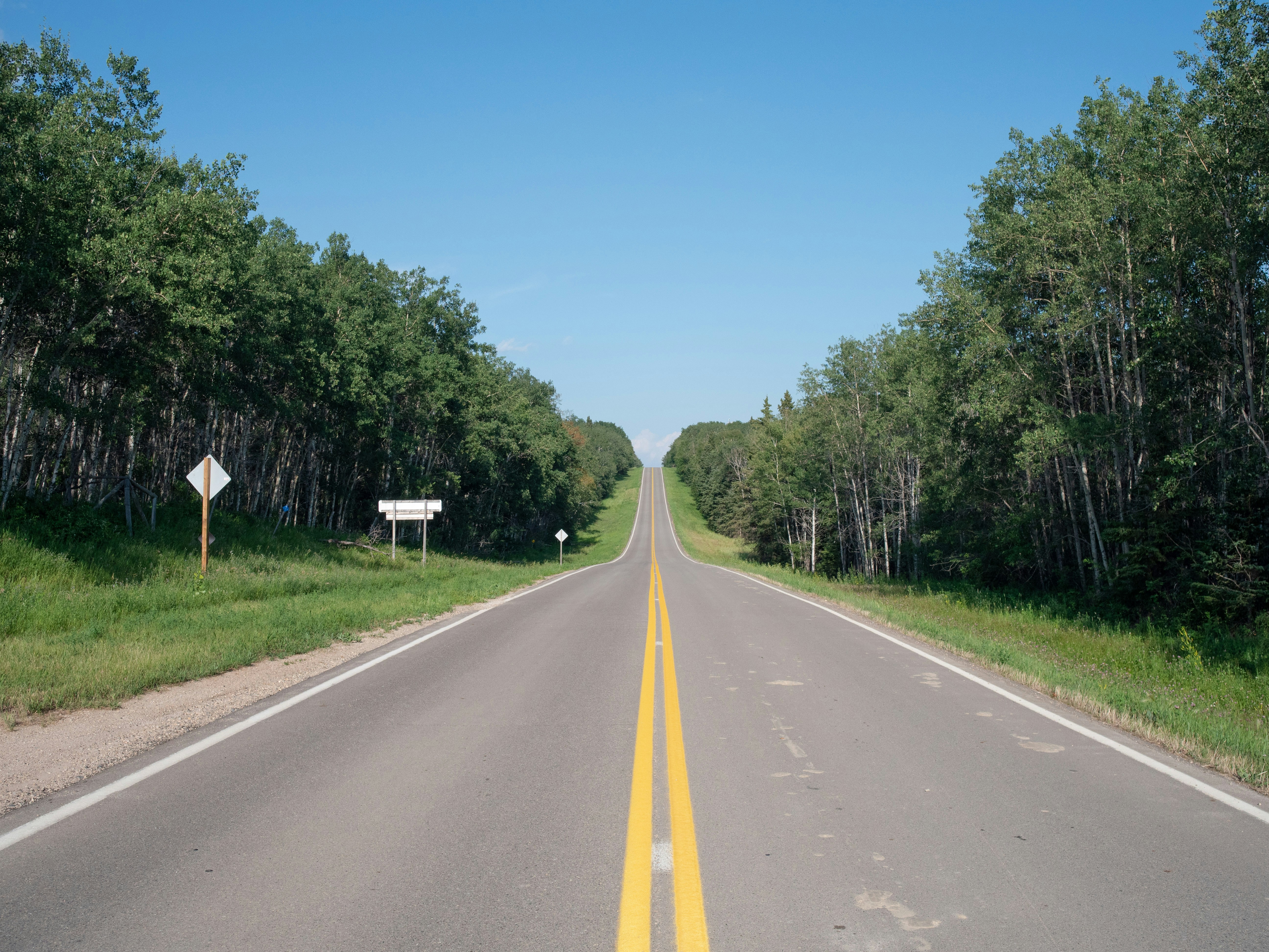 Long straight road flanked by dense green trees under a clear blue sky.