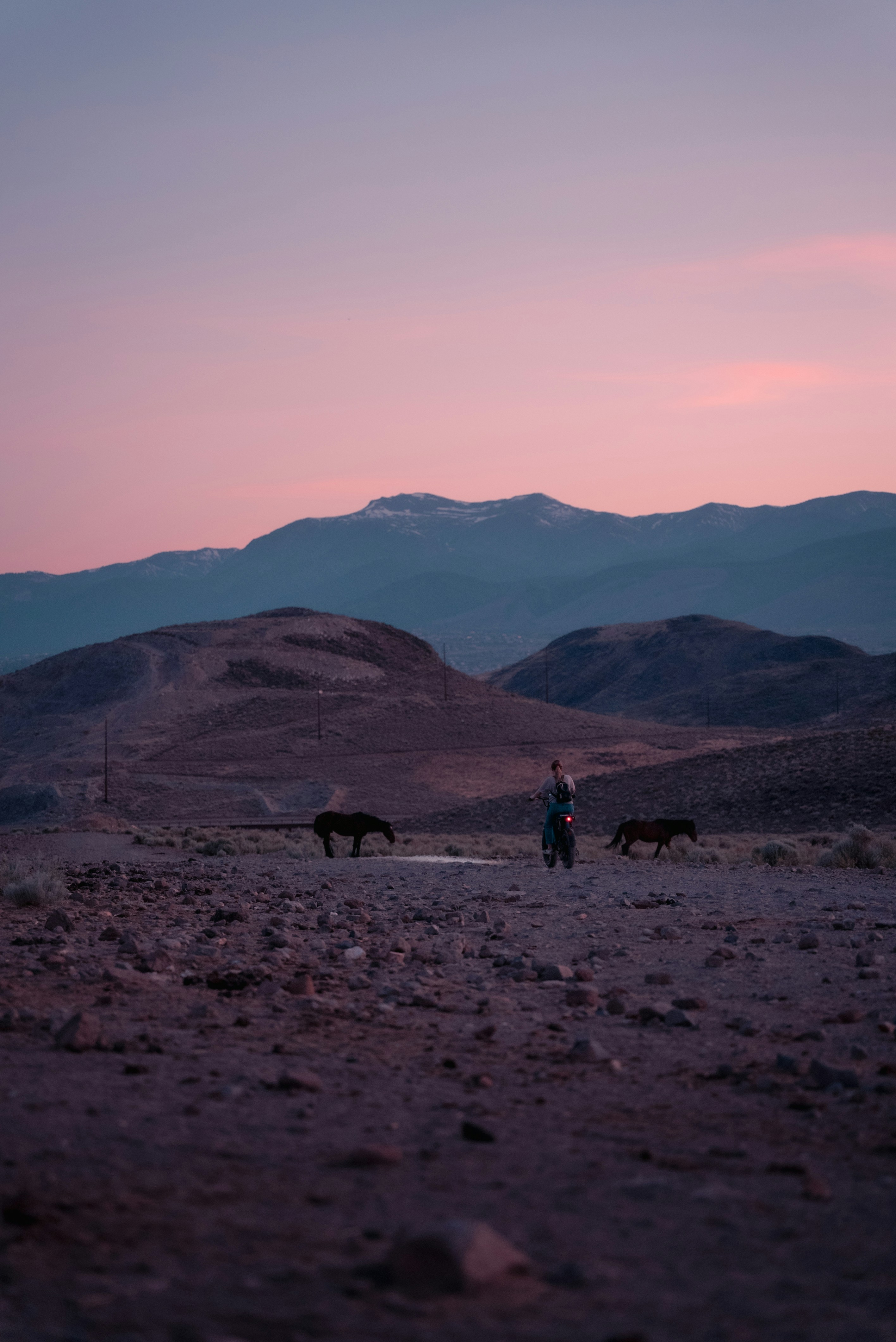 Dusk Patrol in the Basin: A Lone Rider and Two Horses Under Pink Twilight