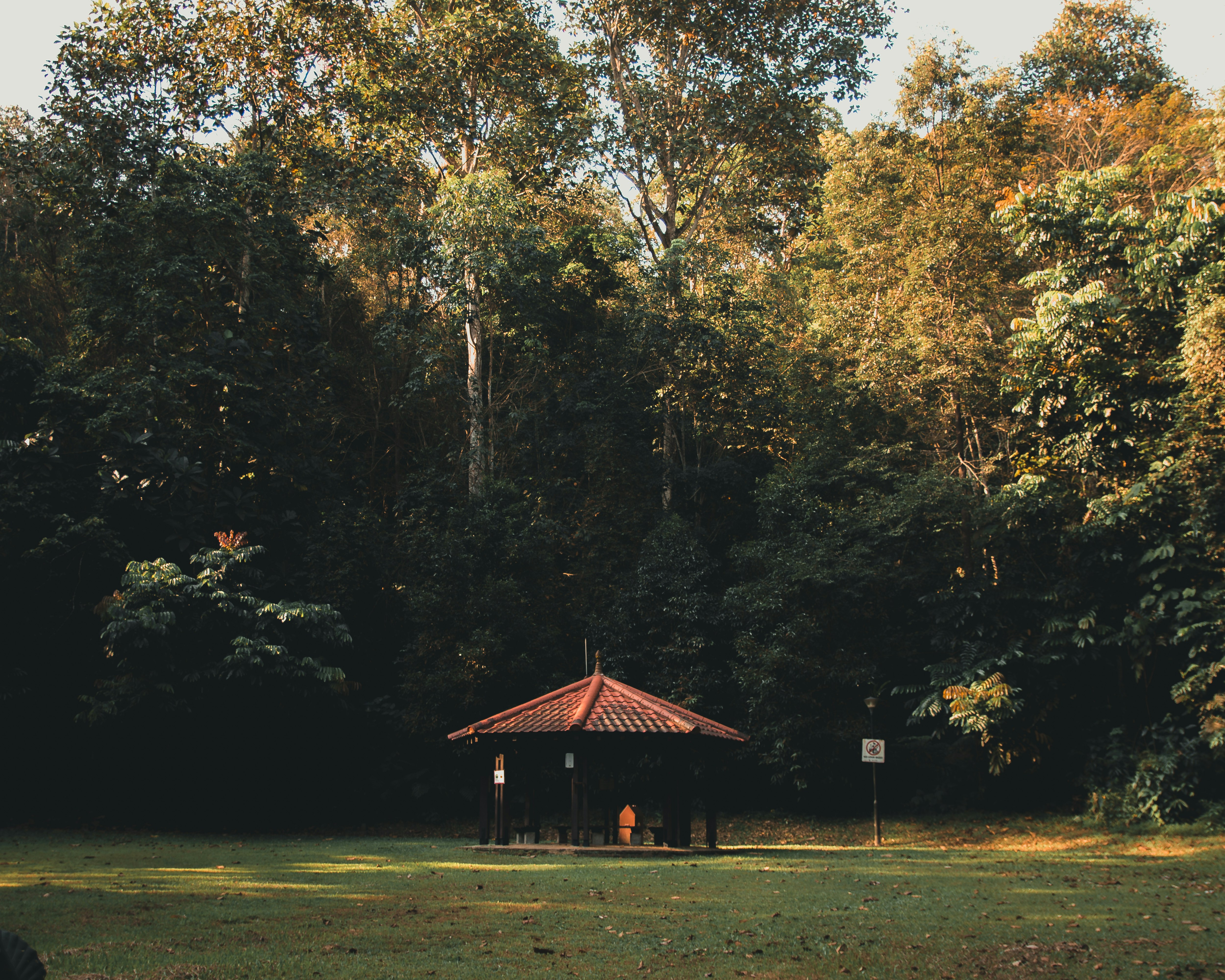 Brown and red house surrounded by trees during daytime photo – Free ...