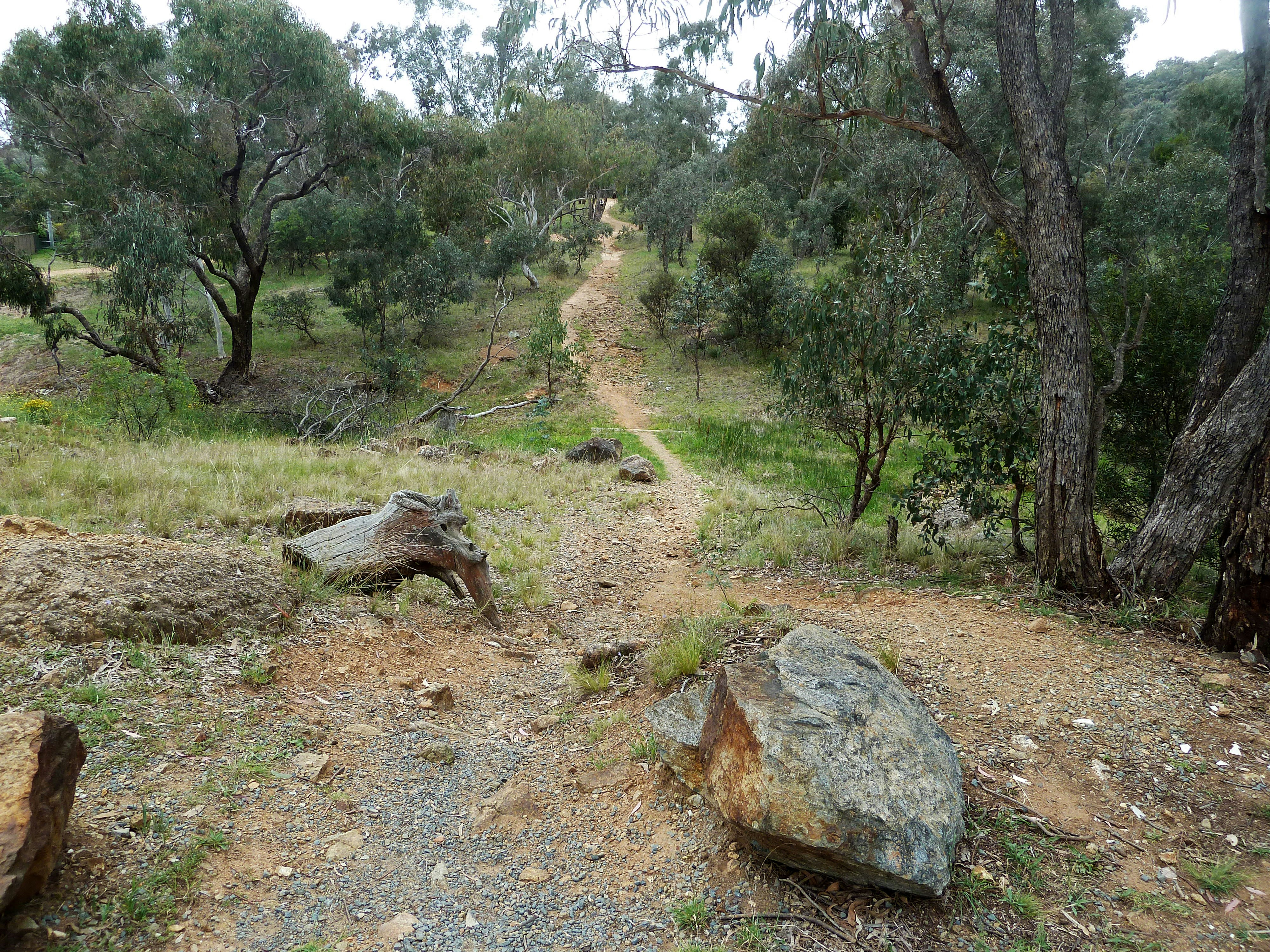 Dusty trail winds through a rocky hillside dotted with trees, inviting exploration along a quiet woodland path.