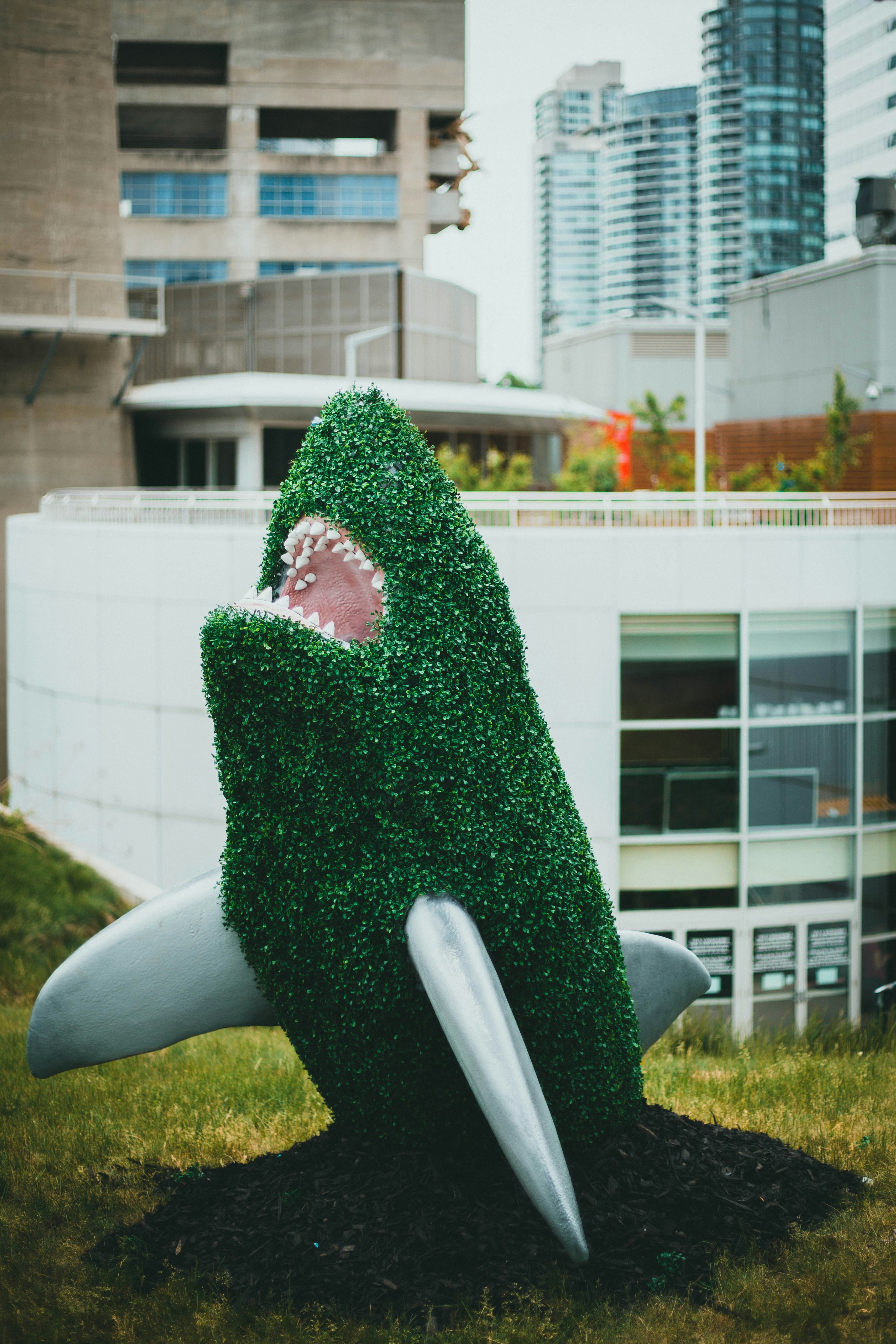 A vibrant shark sculpture made of greenery, displaying a playful expression, set against a modern urban backdrop.
