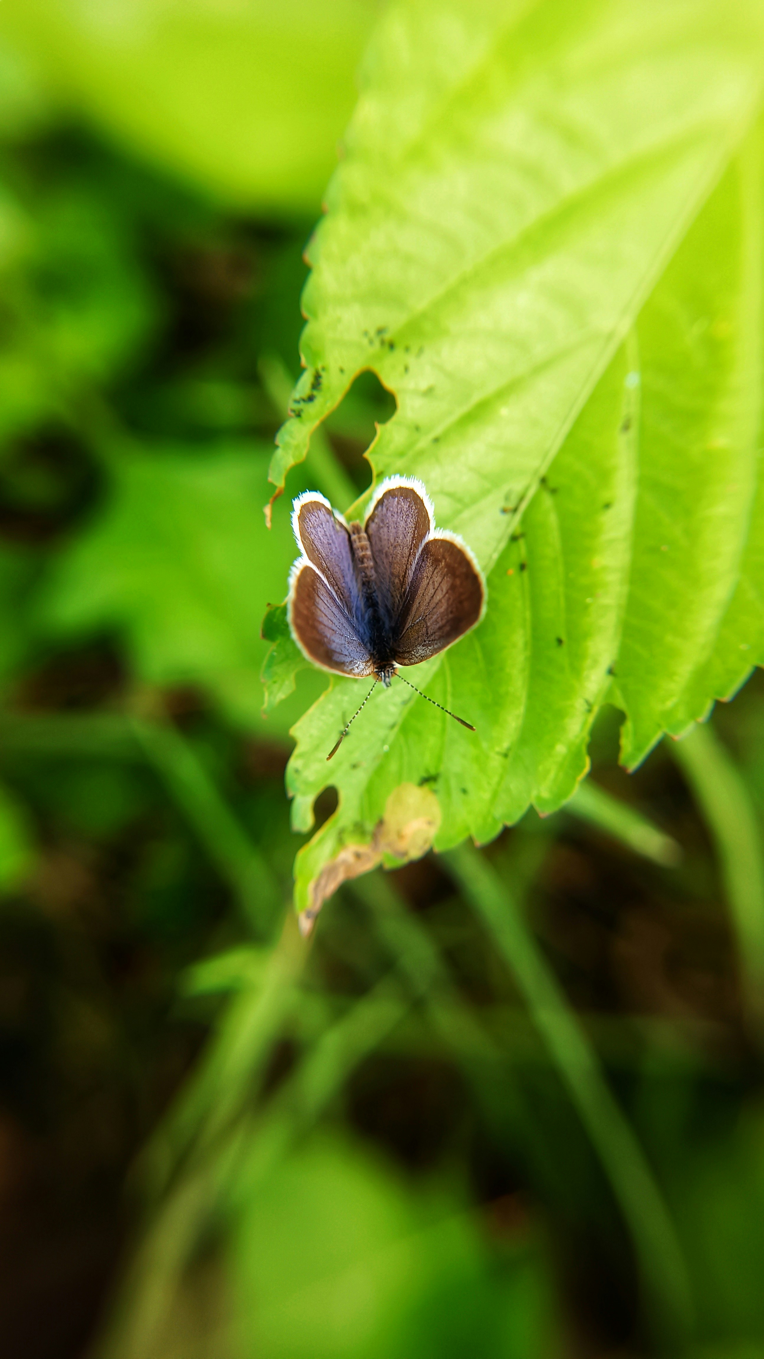 Animus Invictus (@reynaldogayas) | Unsplash Photo Community
