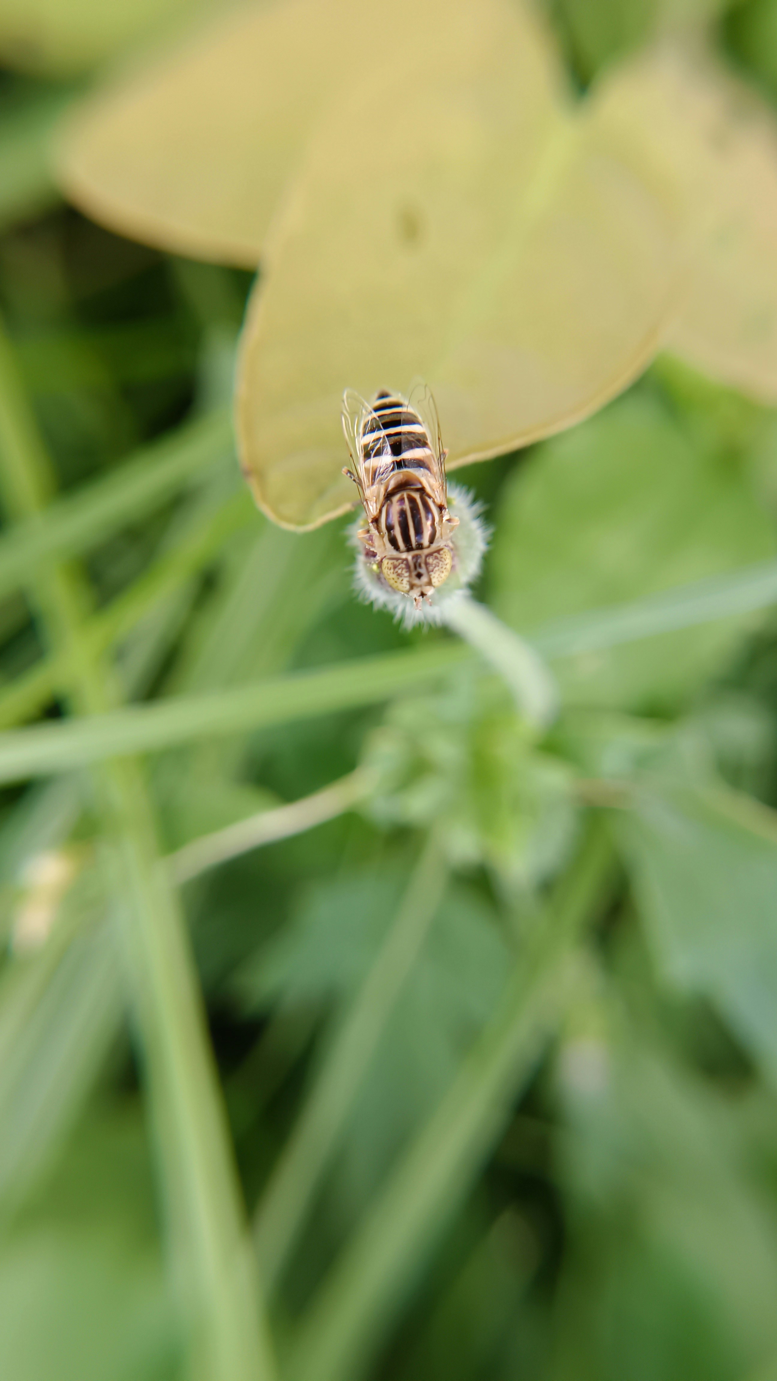 Animus Invictus (@reynaldogayas) | Unsplash Photo Community