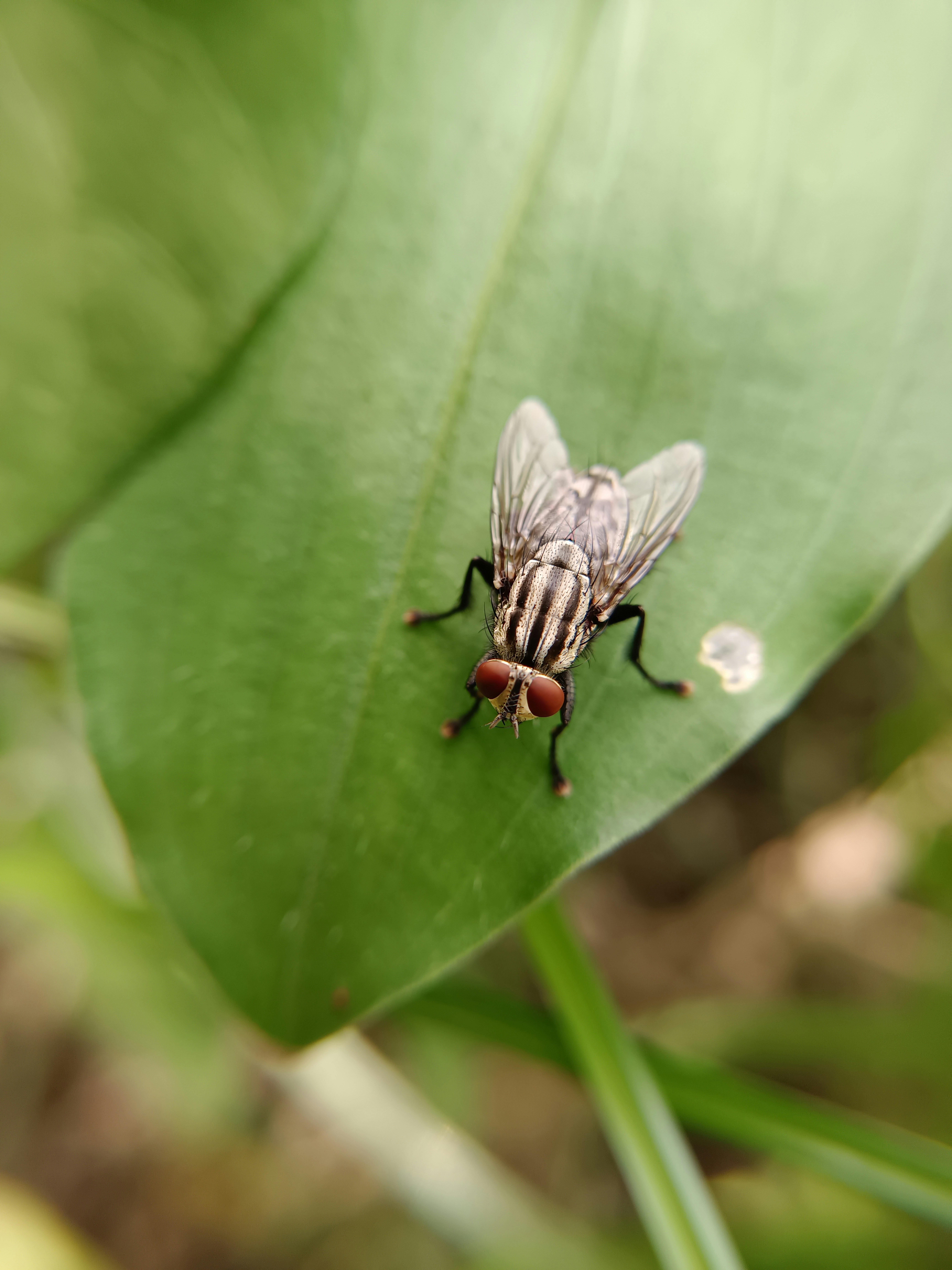 Animus Invictus (@reynaldogayas) | Komunitas Foto Unsplash