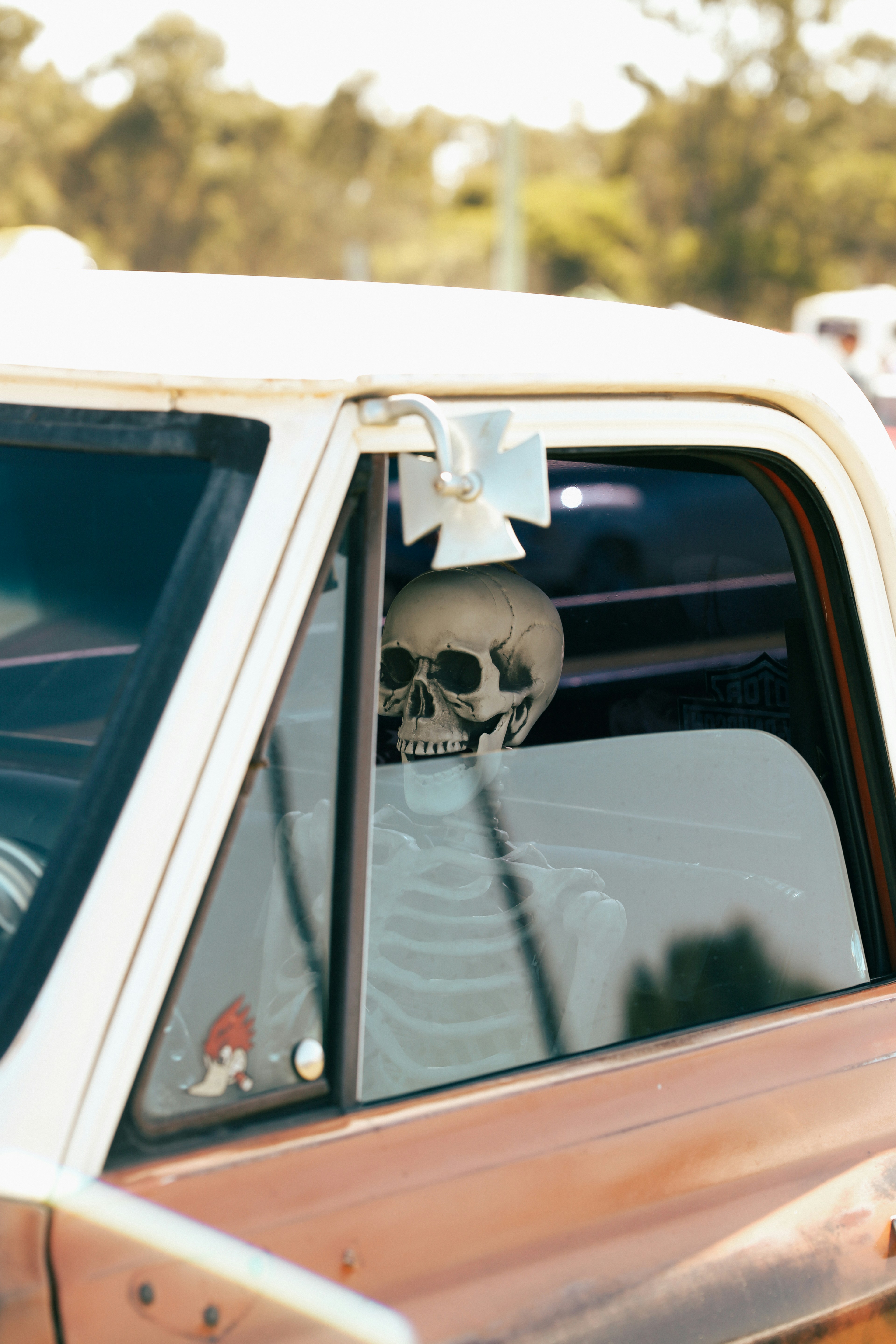Skull in the Window: A Rusted Truck's Quiet Haunt