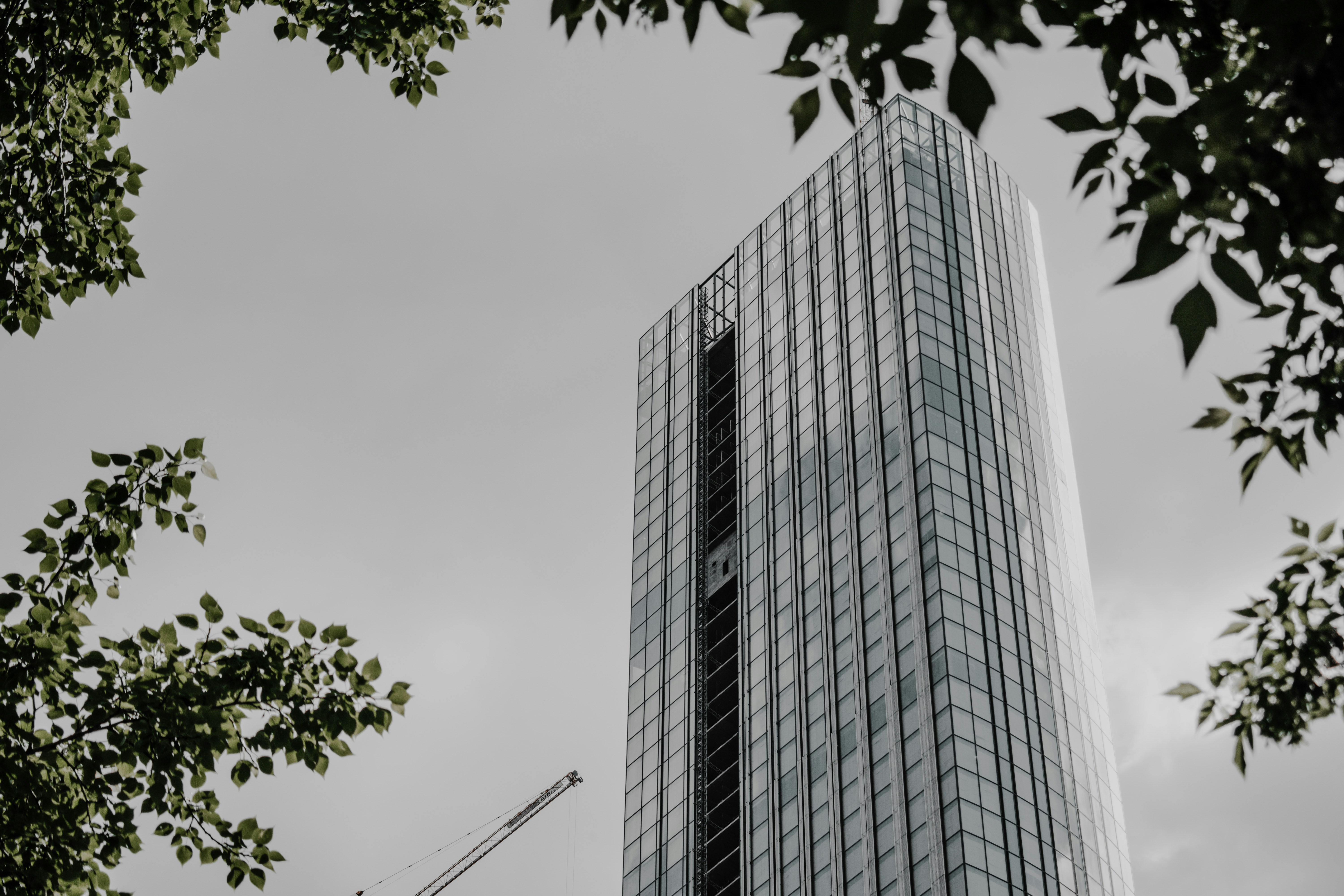 Urban Growth Amidst Nature's Frame