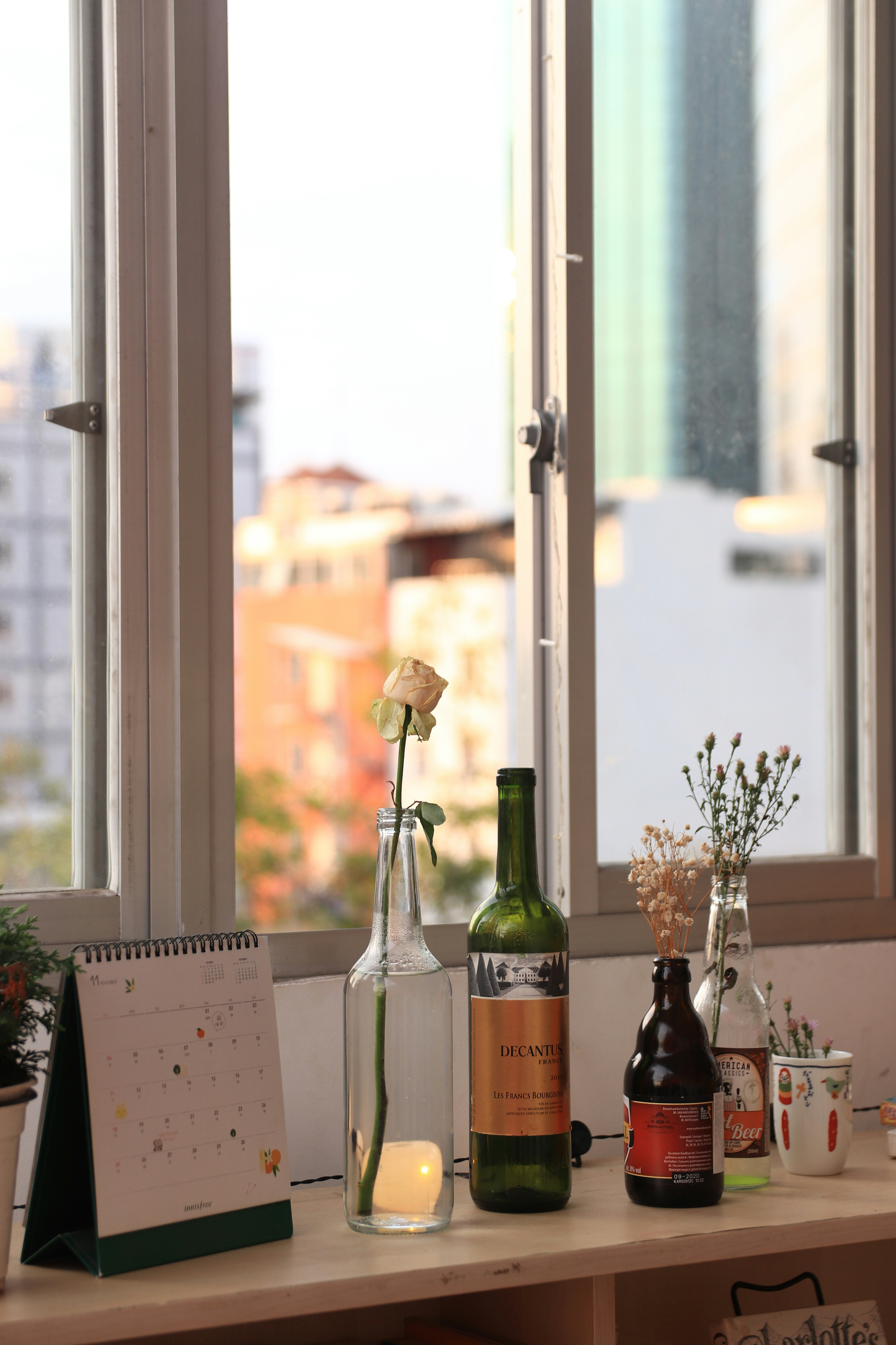Sunlit still life on a windowsill with bottles and a blooming rose
