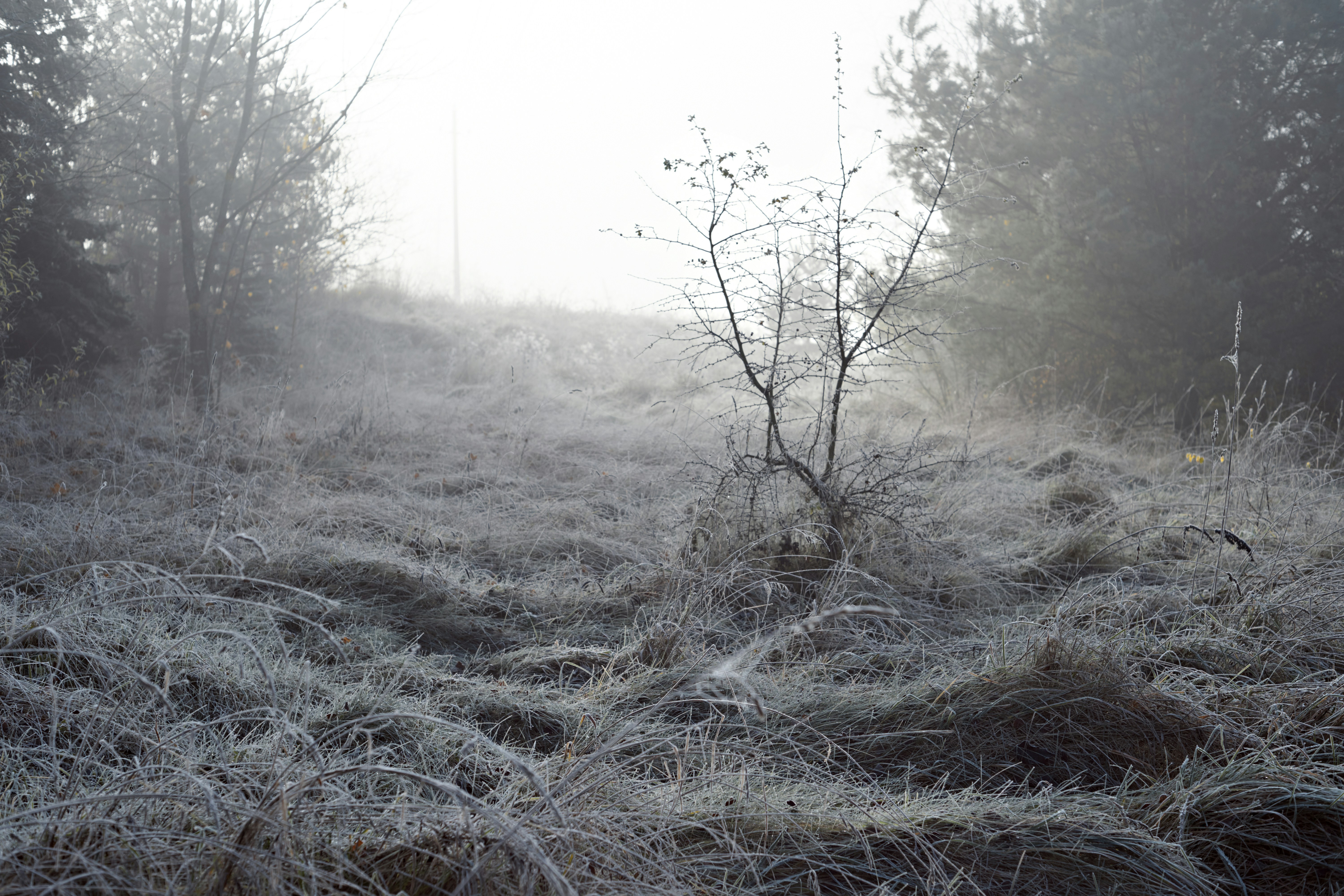 Gray grass field during daytime photo – Free Lithuania Image on Unsplash