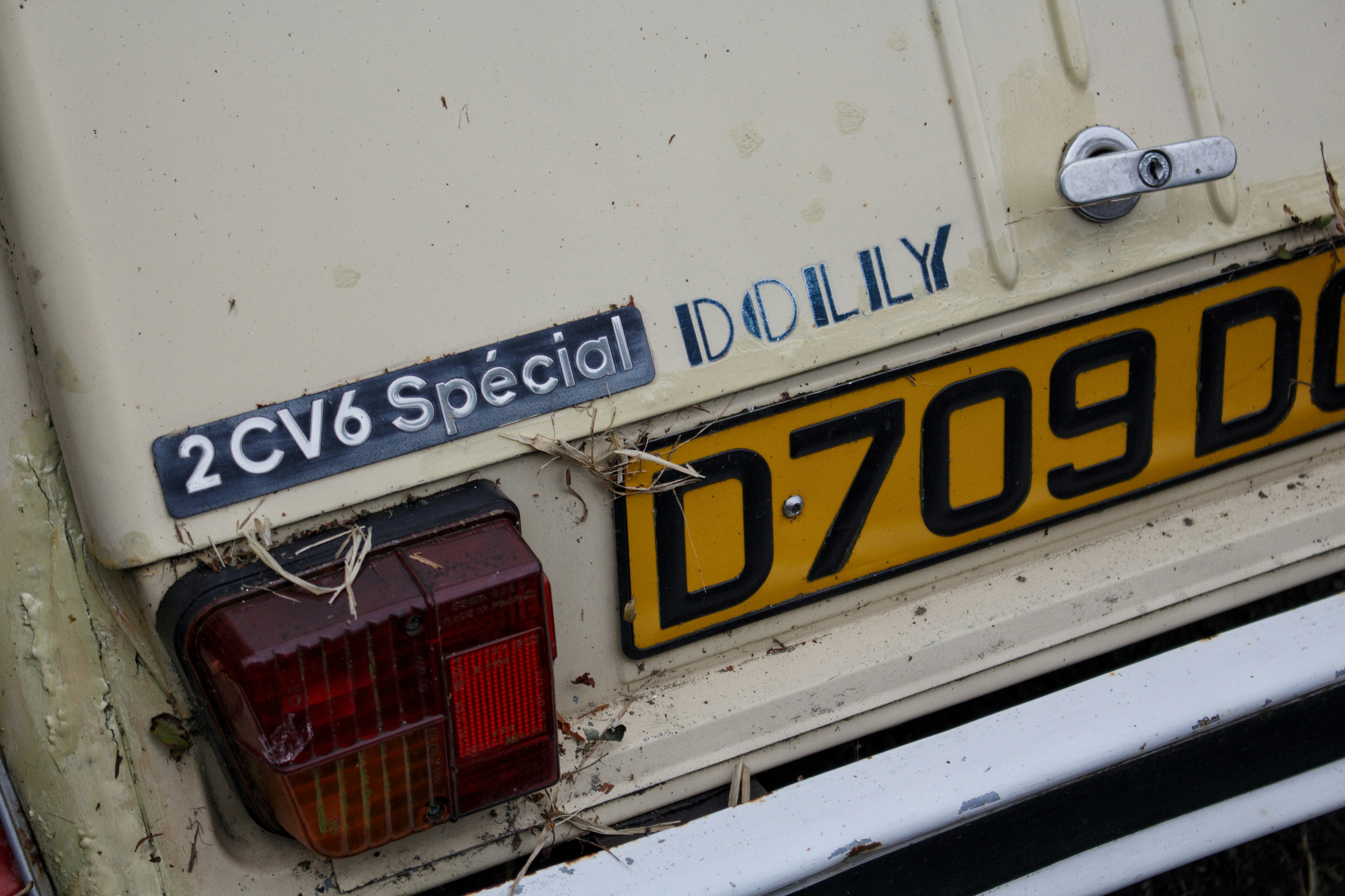 Nicola Carter (@ncarterwilts) | Komunitas Foto Unsplash