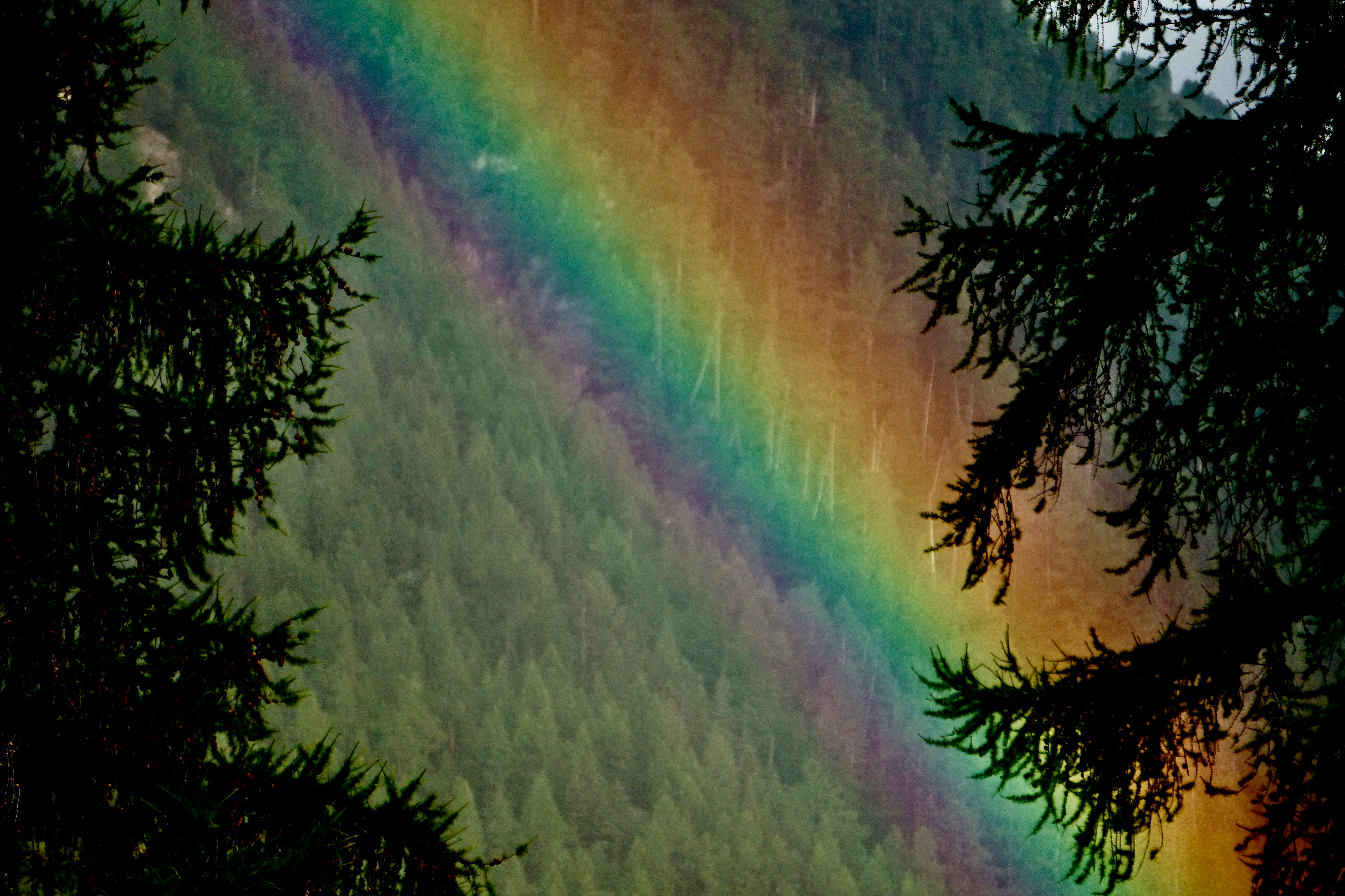 Vivid Rainbow Over a Quiet Pine Valley