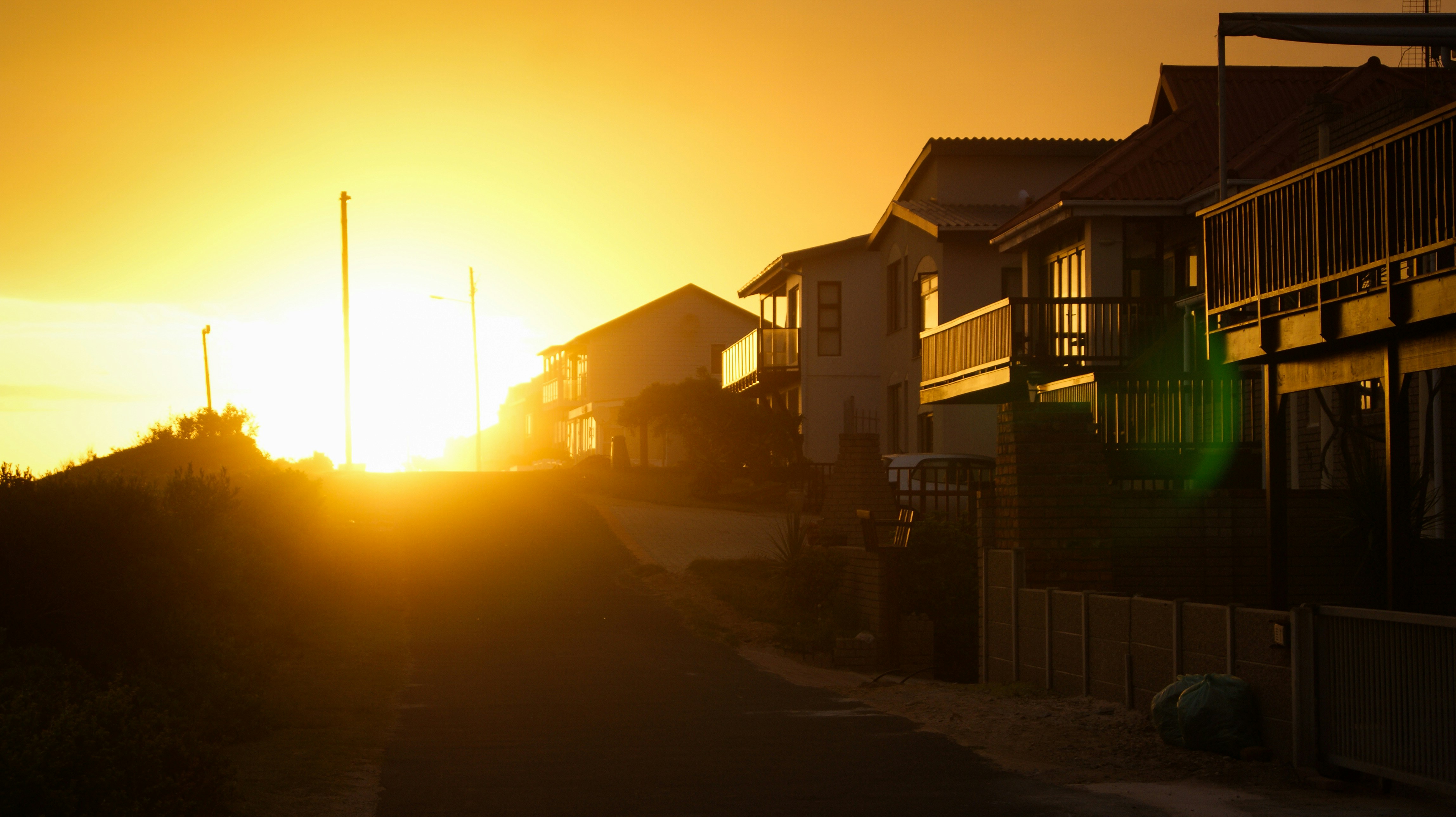 Golden sunset spills over a quiet street lined with rowhouses, creating long shadows and lens flare in this photograph.