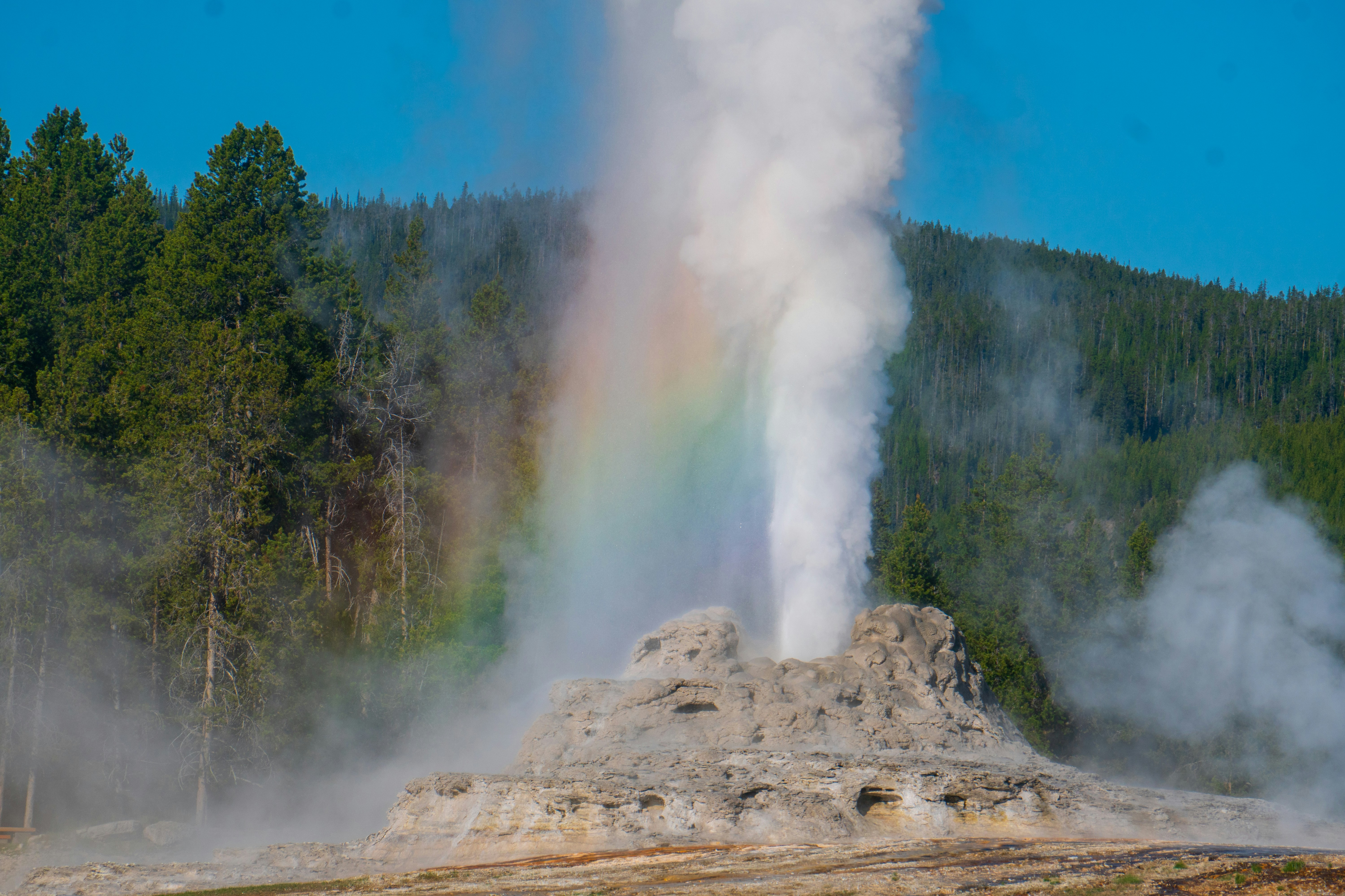 White smoke coming from green trees photo – Free Yellowstone national ...