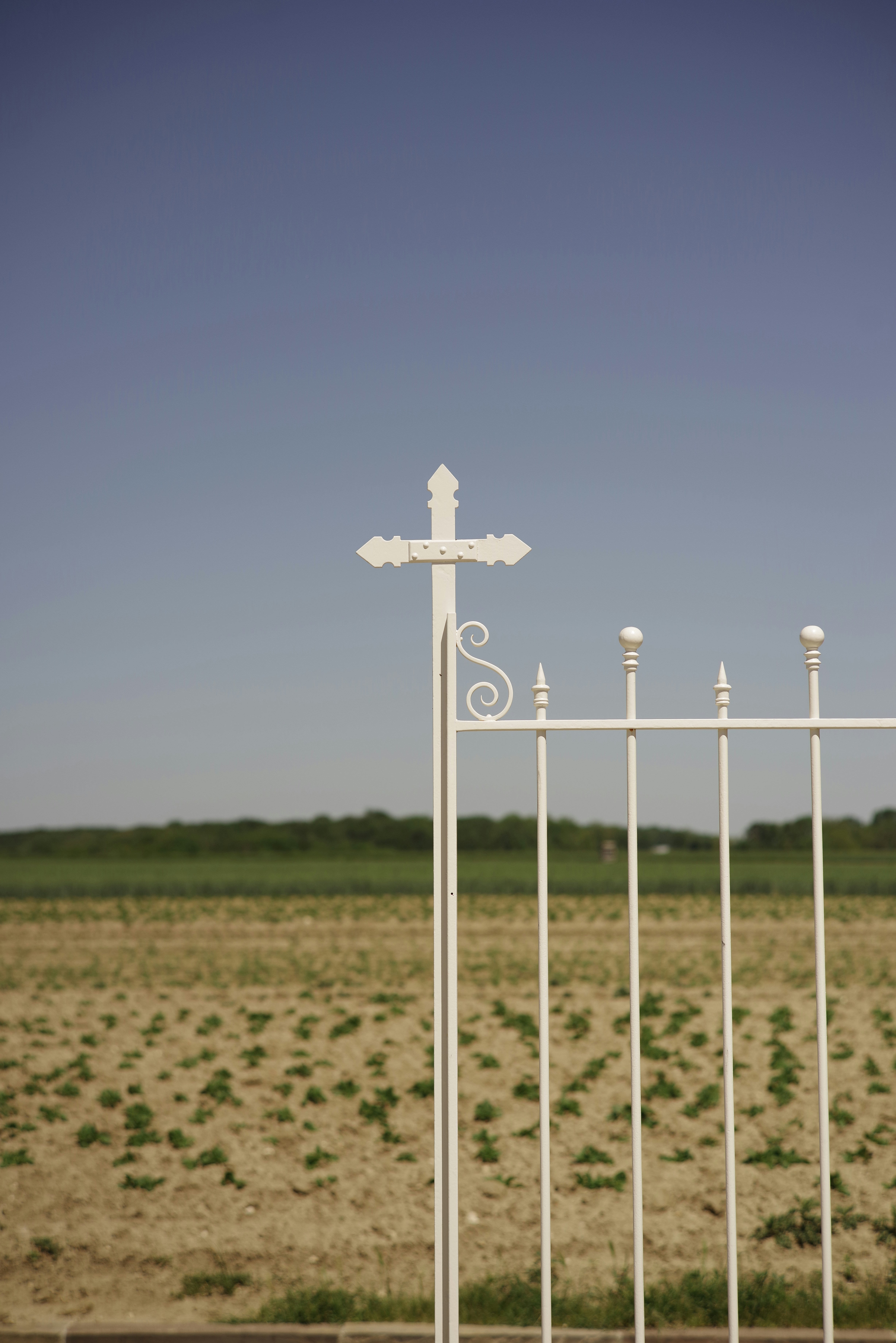 Crossing Lines: White Fence Framing a Quiet Prairie Horizon