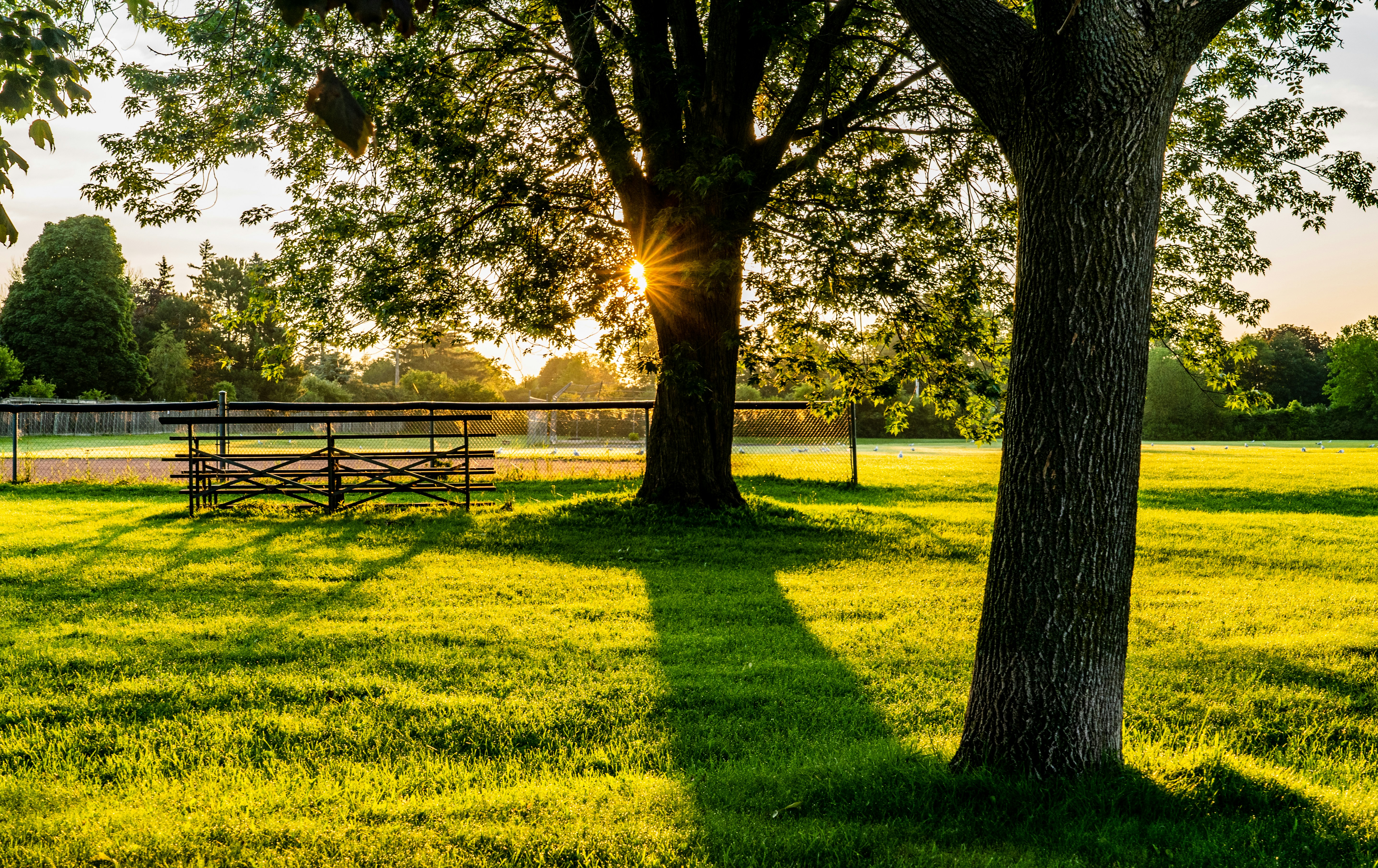 Brown wooden fence near green grass field during daytime photo – Free ...