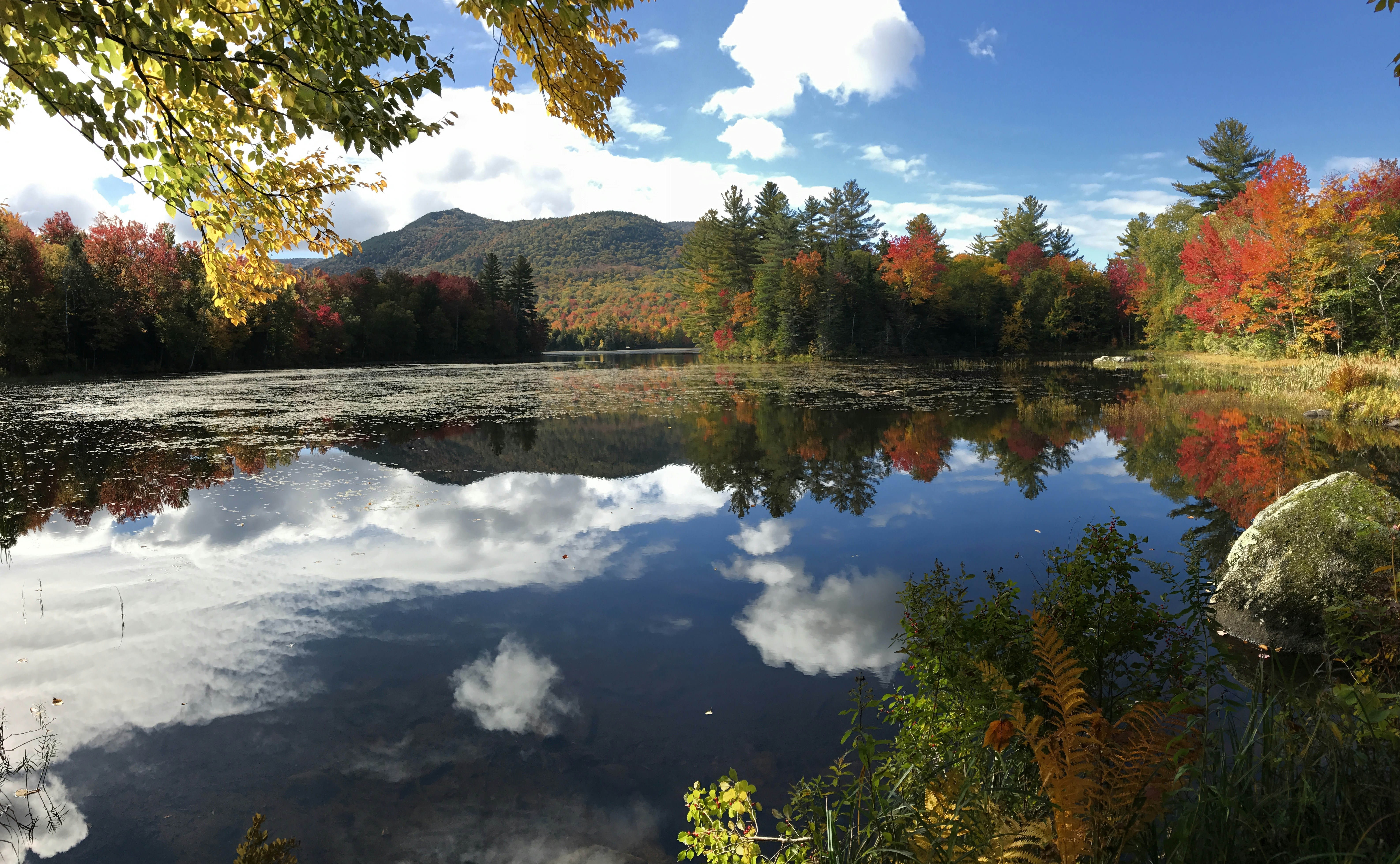 Vibrant autumnal trees line a calm lake, perfectly reflecting the blue sky and clouds; a tranquil landscape scene with a rocky foreground and distant hills.
