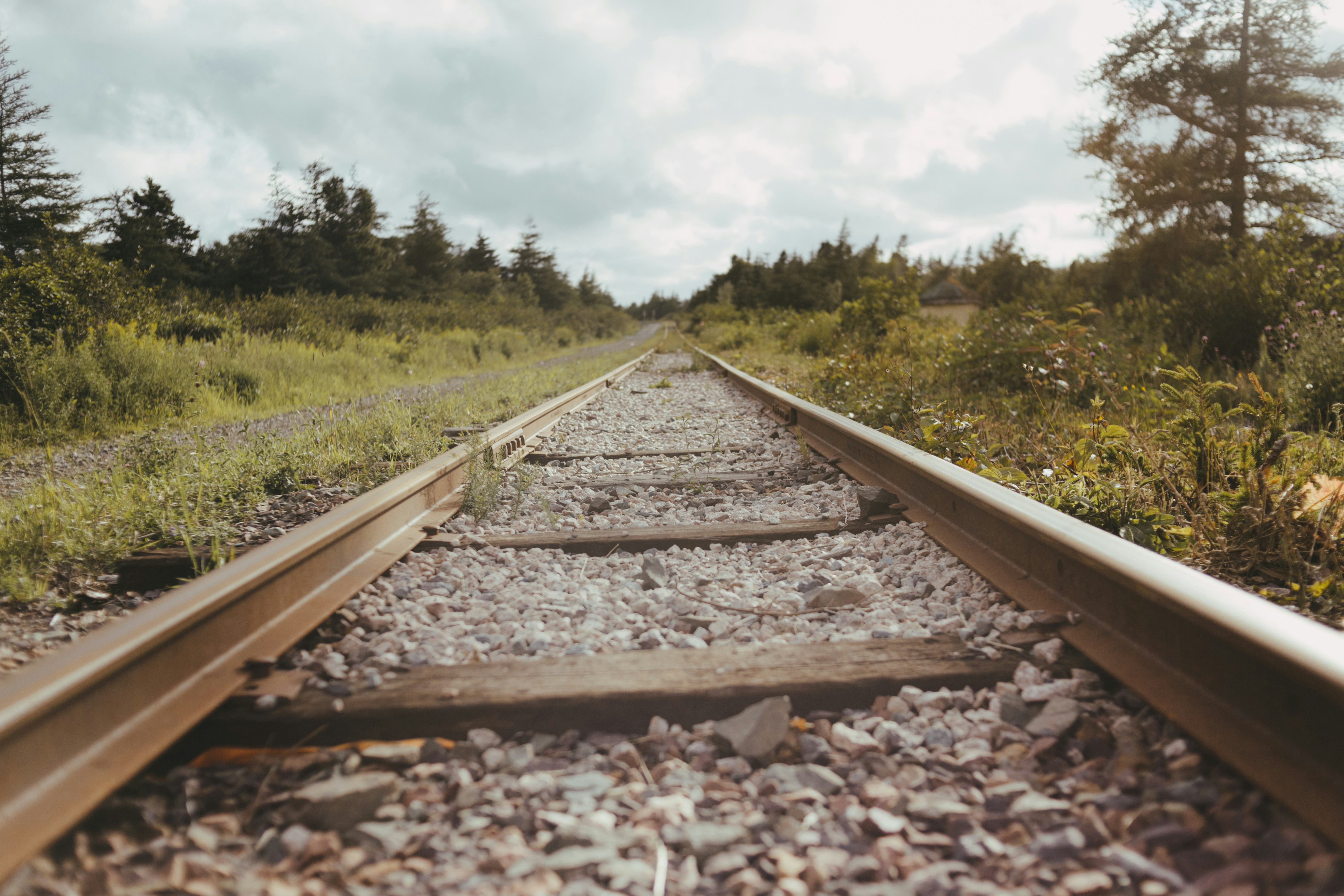 Pierres brunes et blanches sur sol brun photo – Photo Transport ...