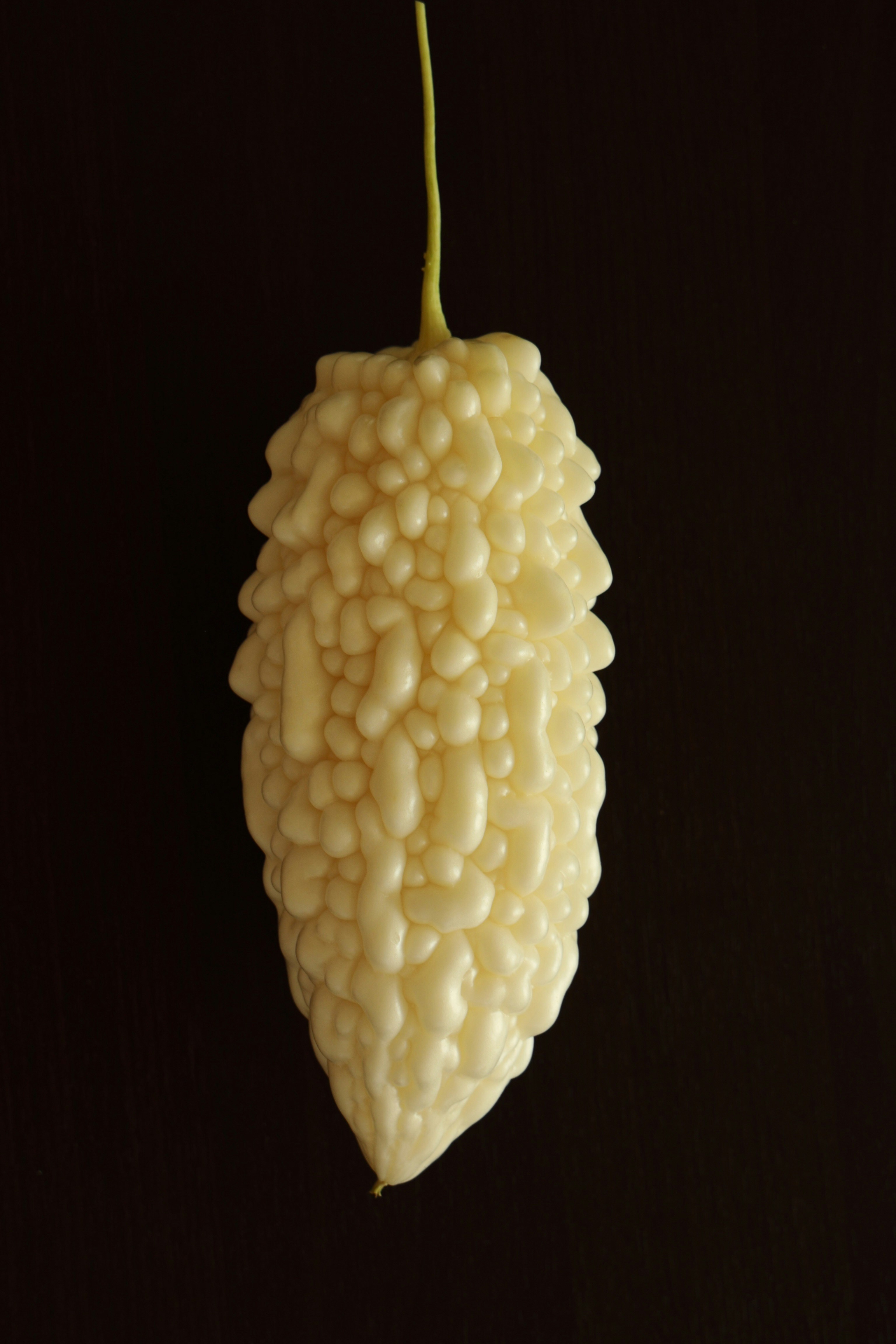 white bitter gourd