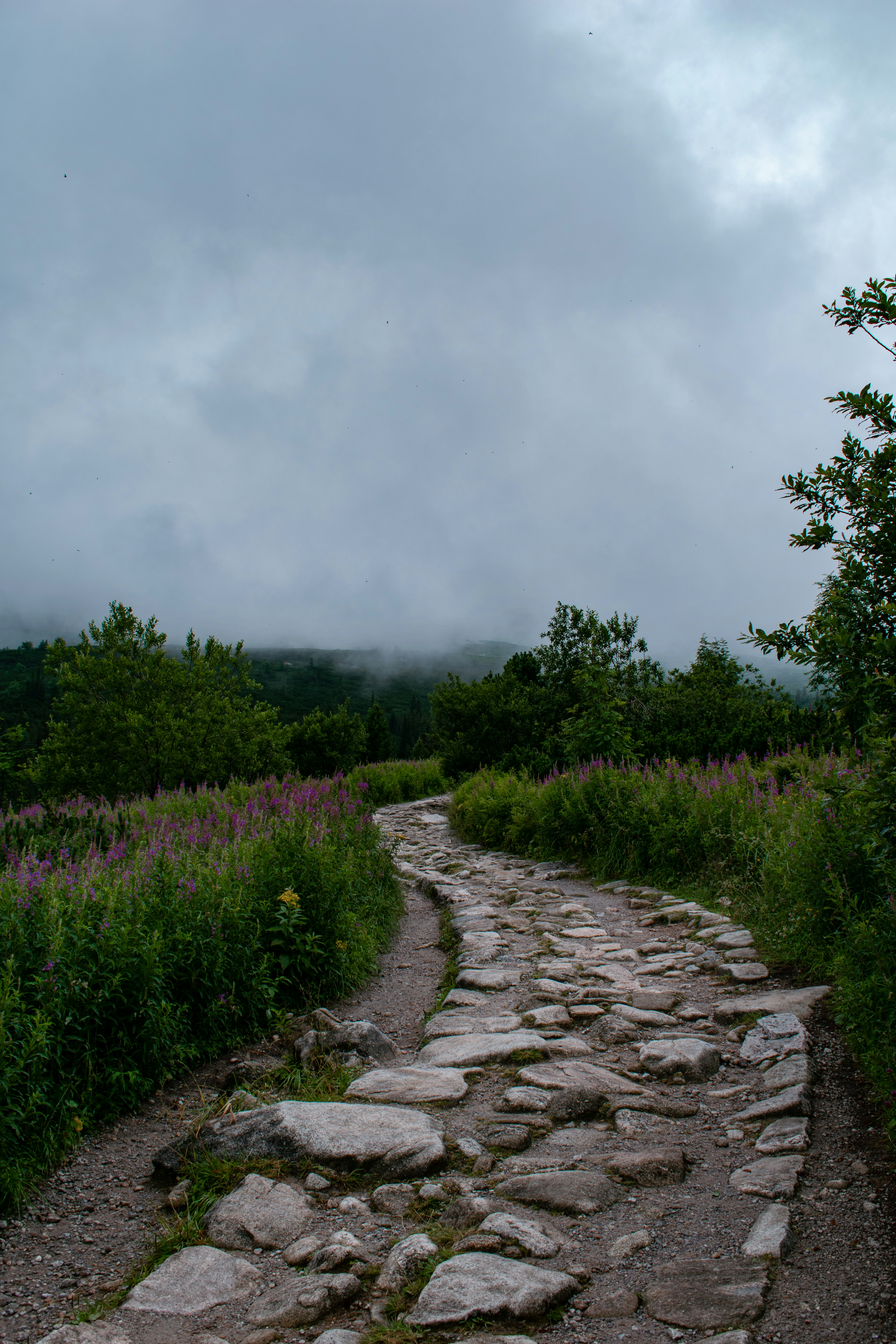 Stone pathway meandering through vibrant wildflowers and lush greenery, under a cloudy sky.