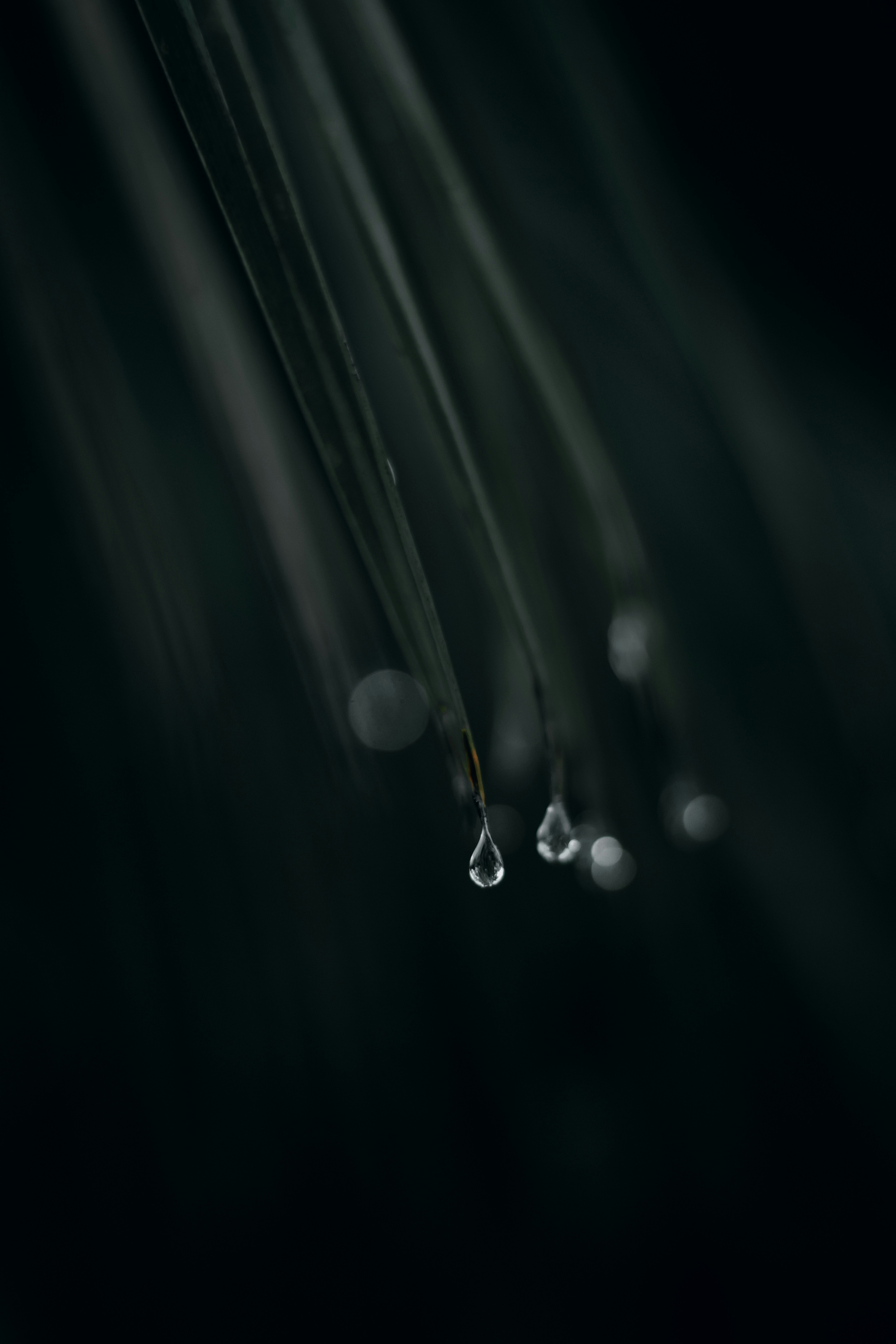 Water droplets on glass during night time photo – Free Droplet Image on ...