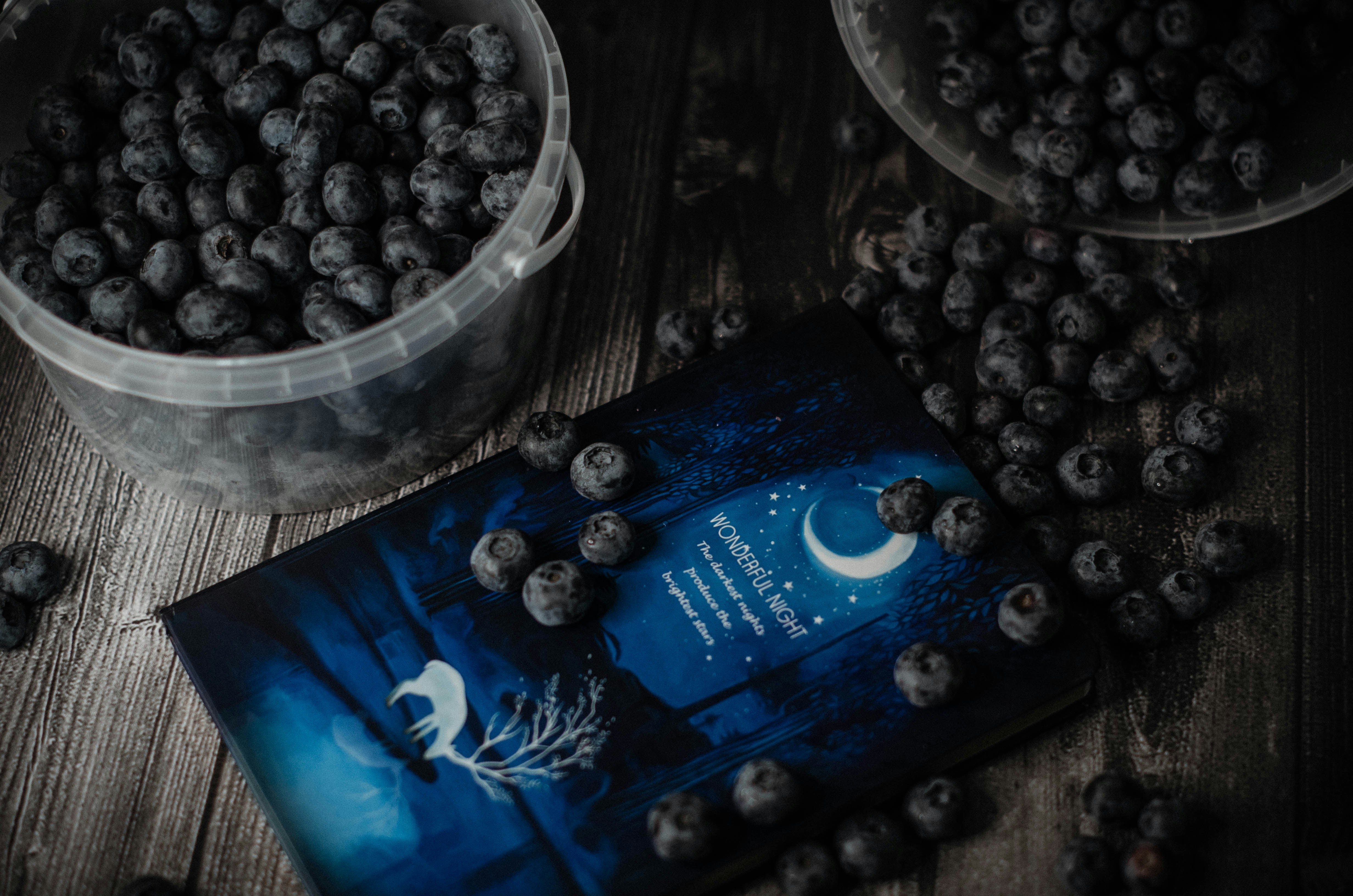 Fruits ronds noirs dans un récipient en plastique transparent photo ...