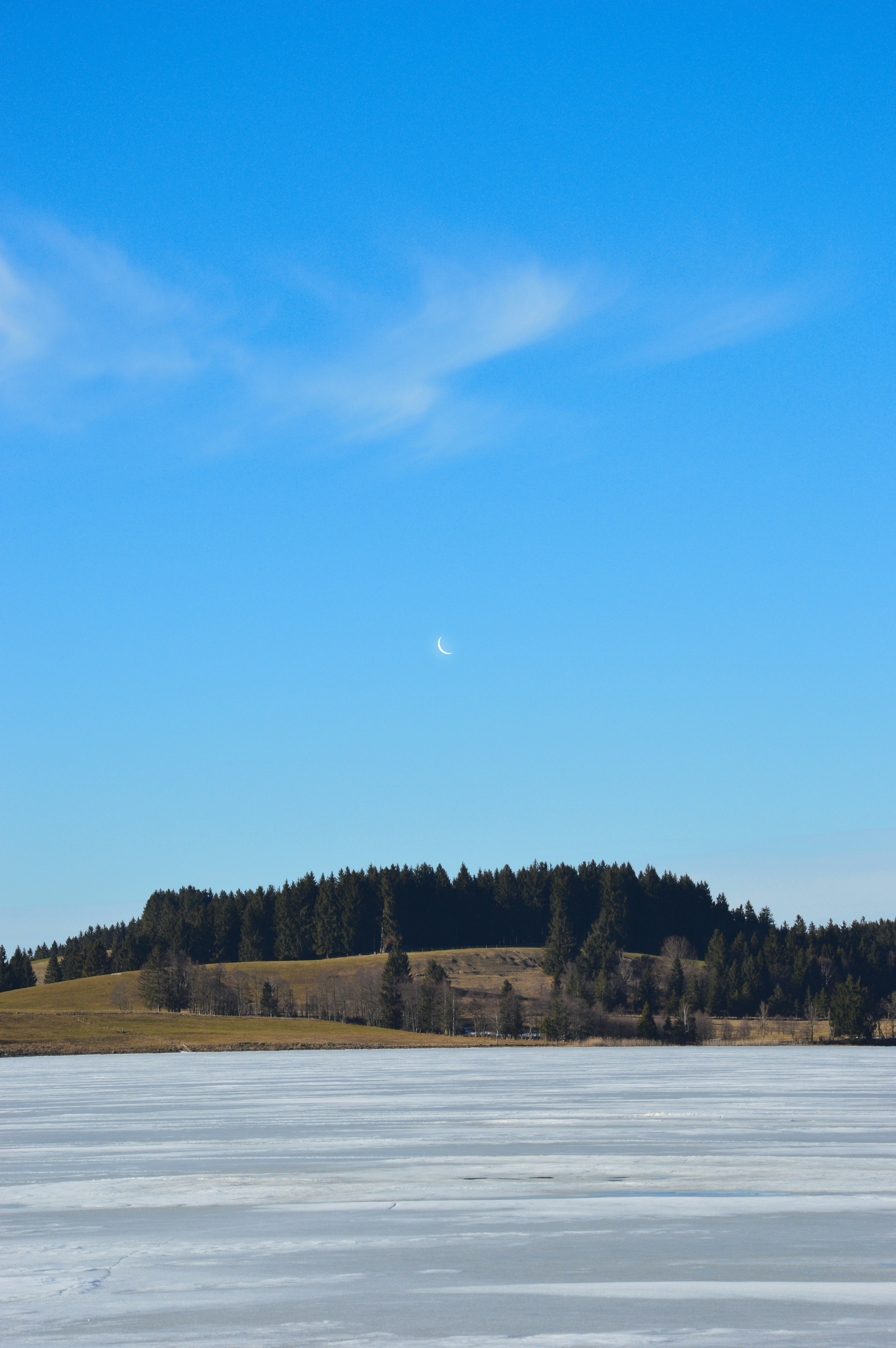 Crescent Moon Above a Glassy Winter Lake and Pine Ridge