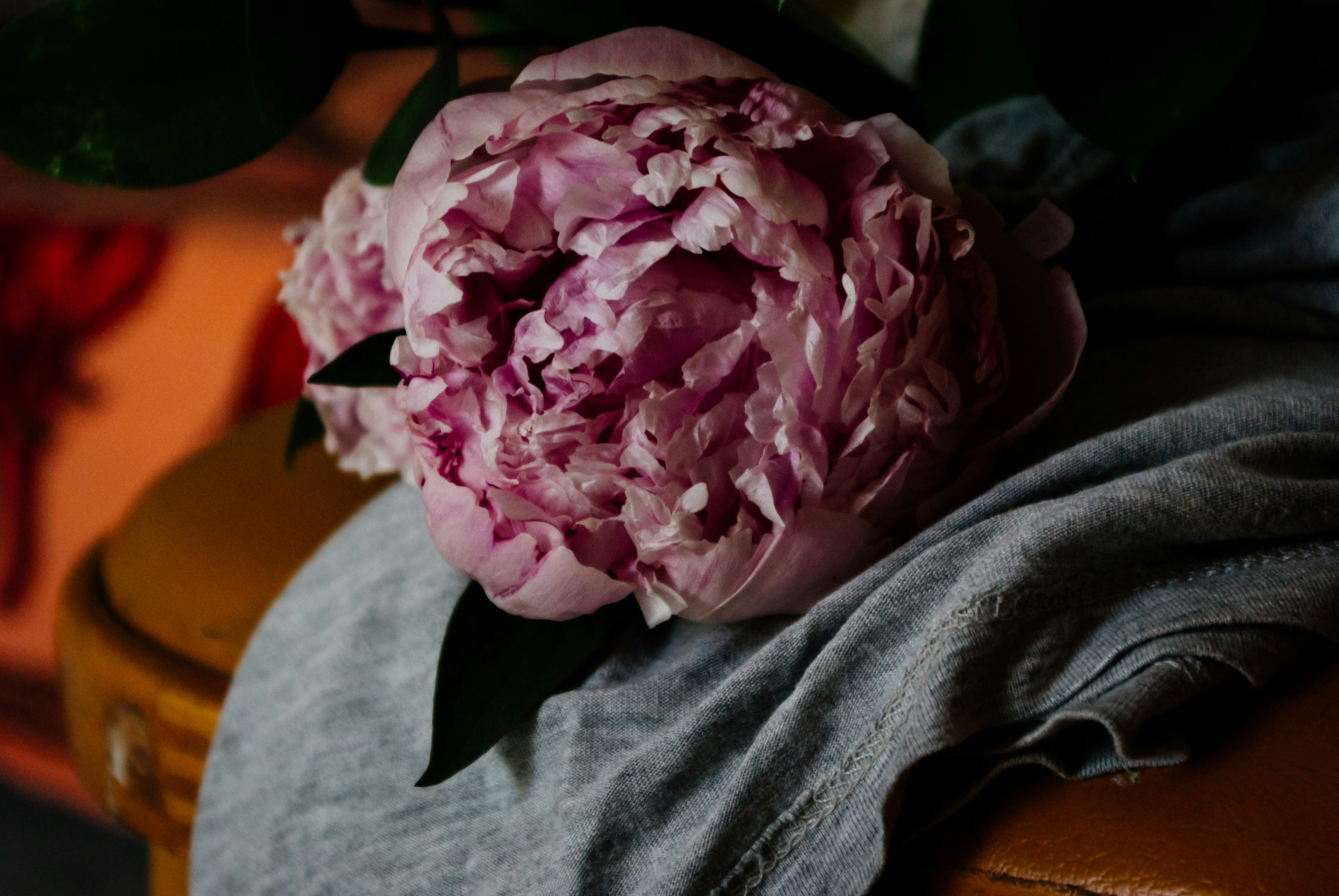 pink flower on gray textile