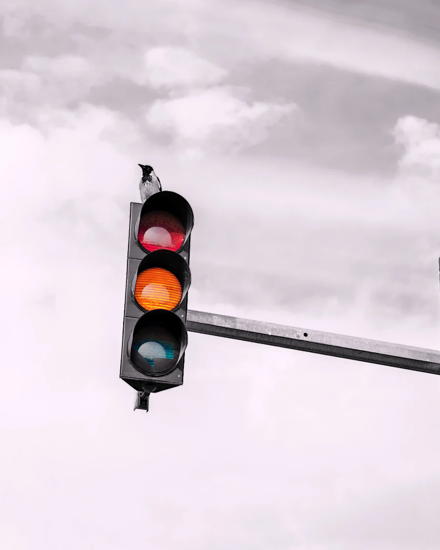 A bird perches on top of a vertical traffic light against a pale cloudy sky. The red, amber, and blue-tinted signal lenses stand out beneath the bird.