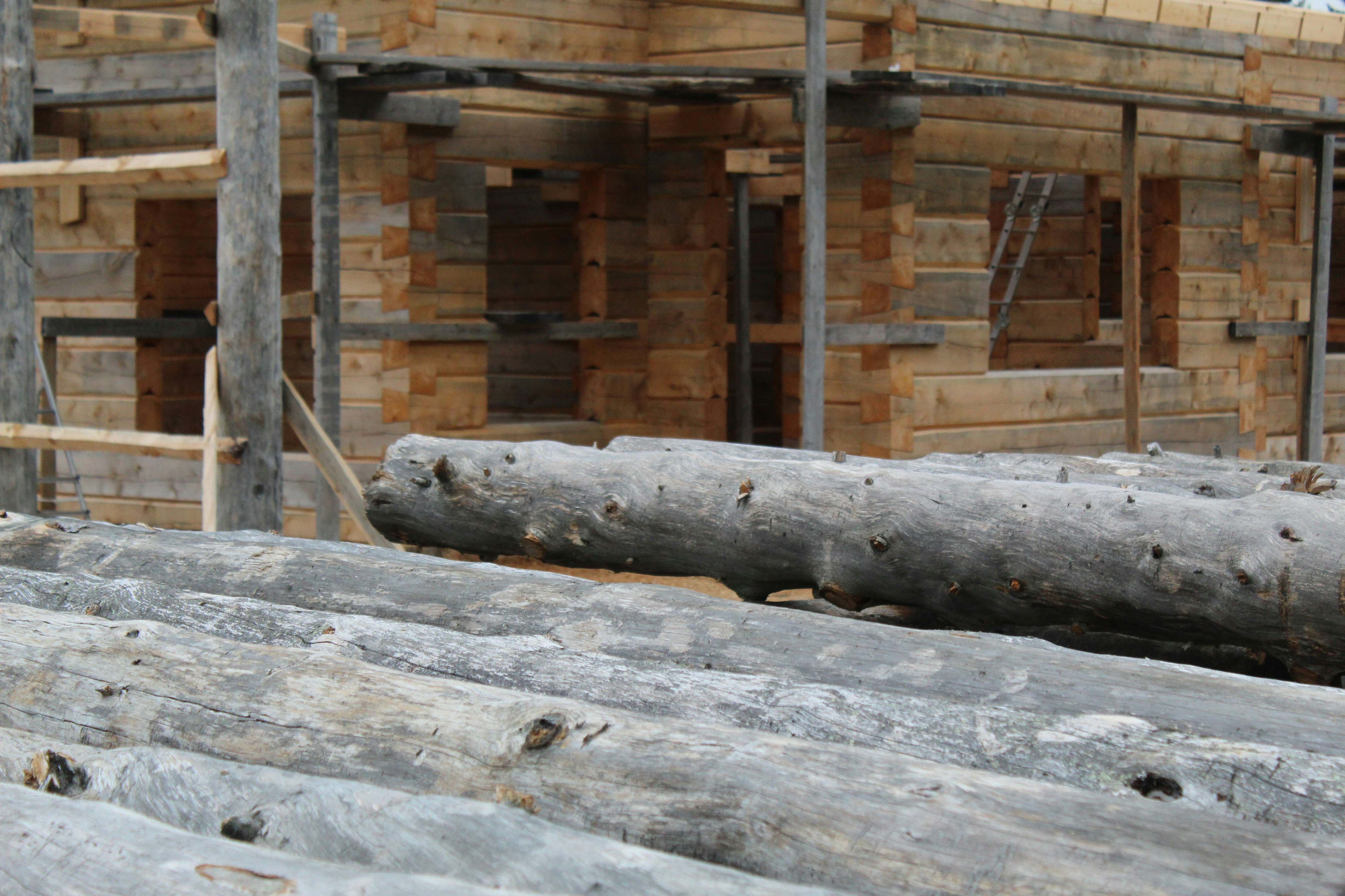 Layered Timber: Logs in the Foreground, Timber Frame Rising Behind