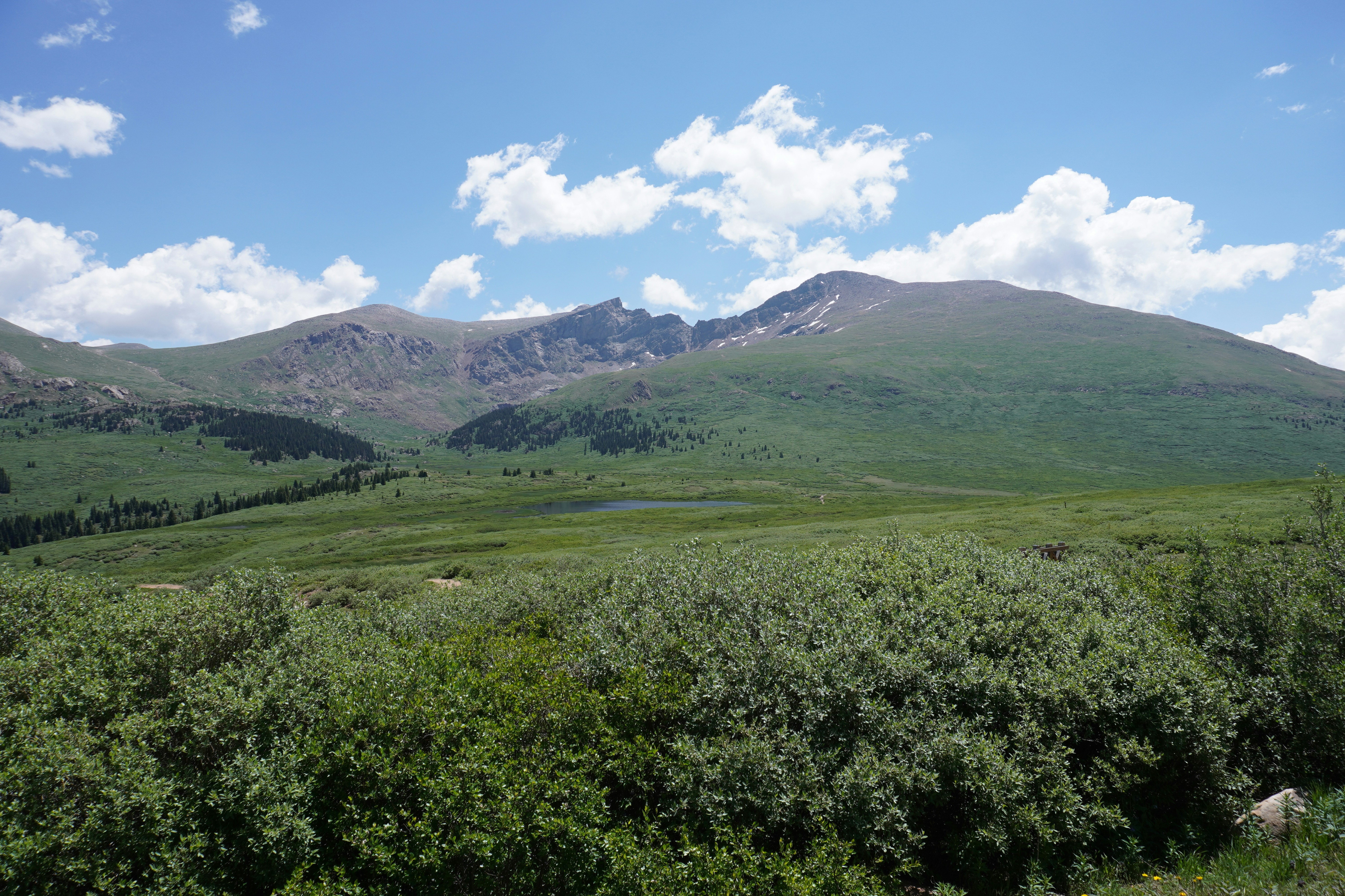 Expansive green landscape with distant mountains under a bright blue sky with scattered clouds.