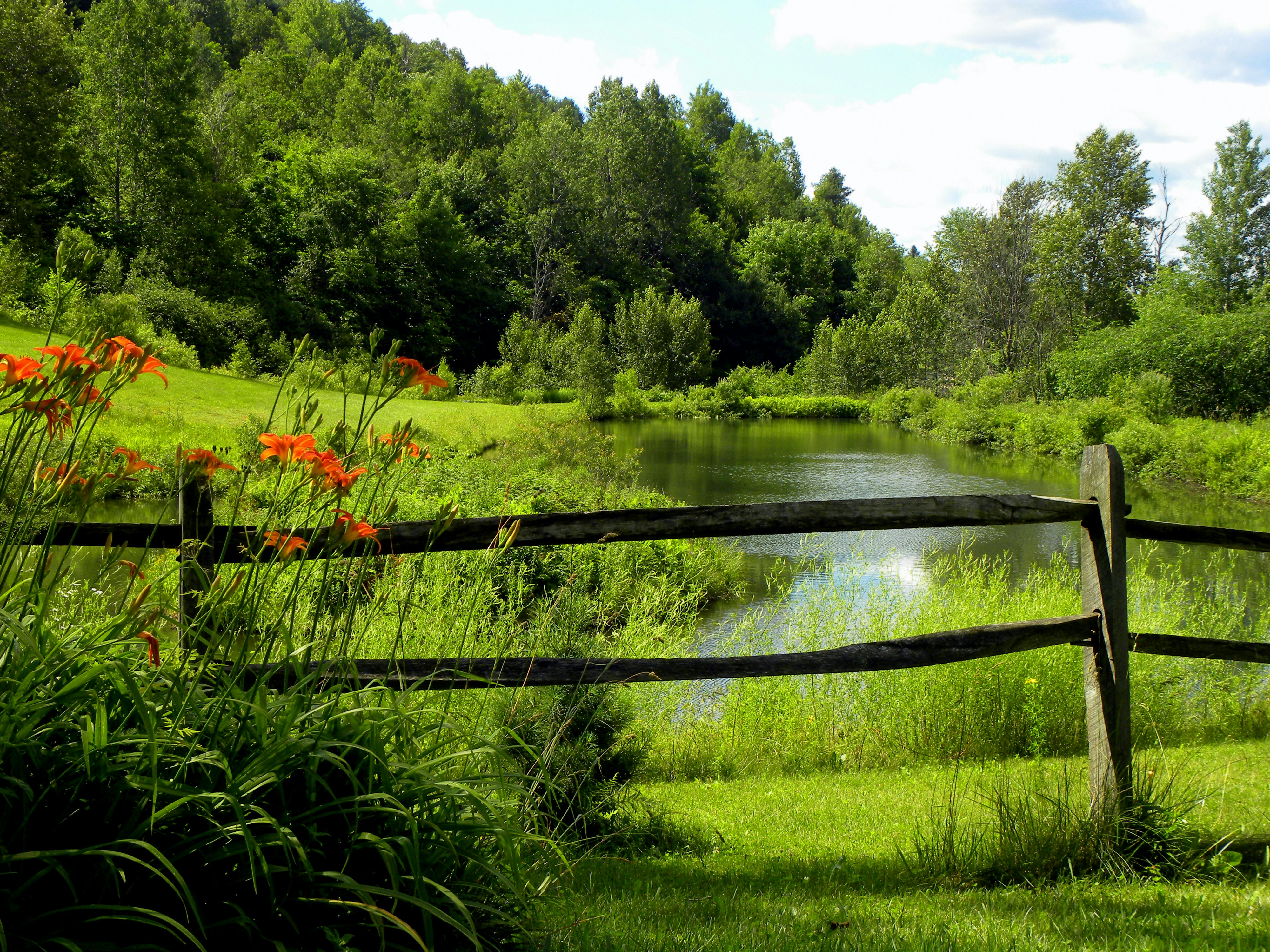 Green grass field near river during daytime photo – Free Forest Image ...