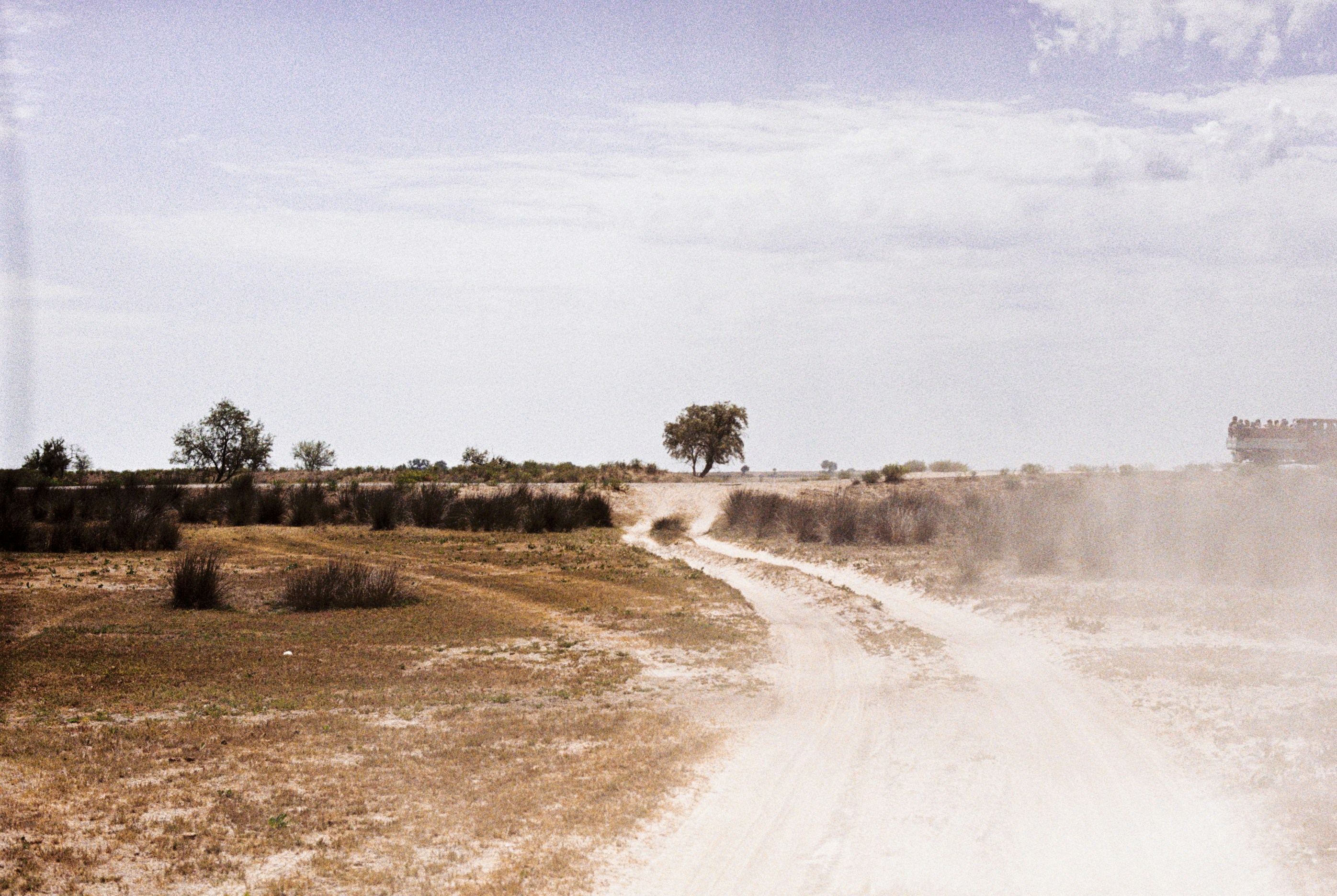 Dust Trail to a Lone Tree on the Distant Plain