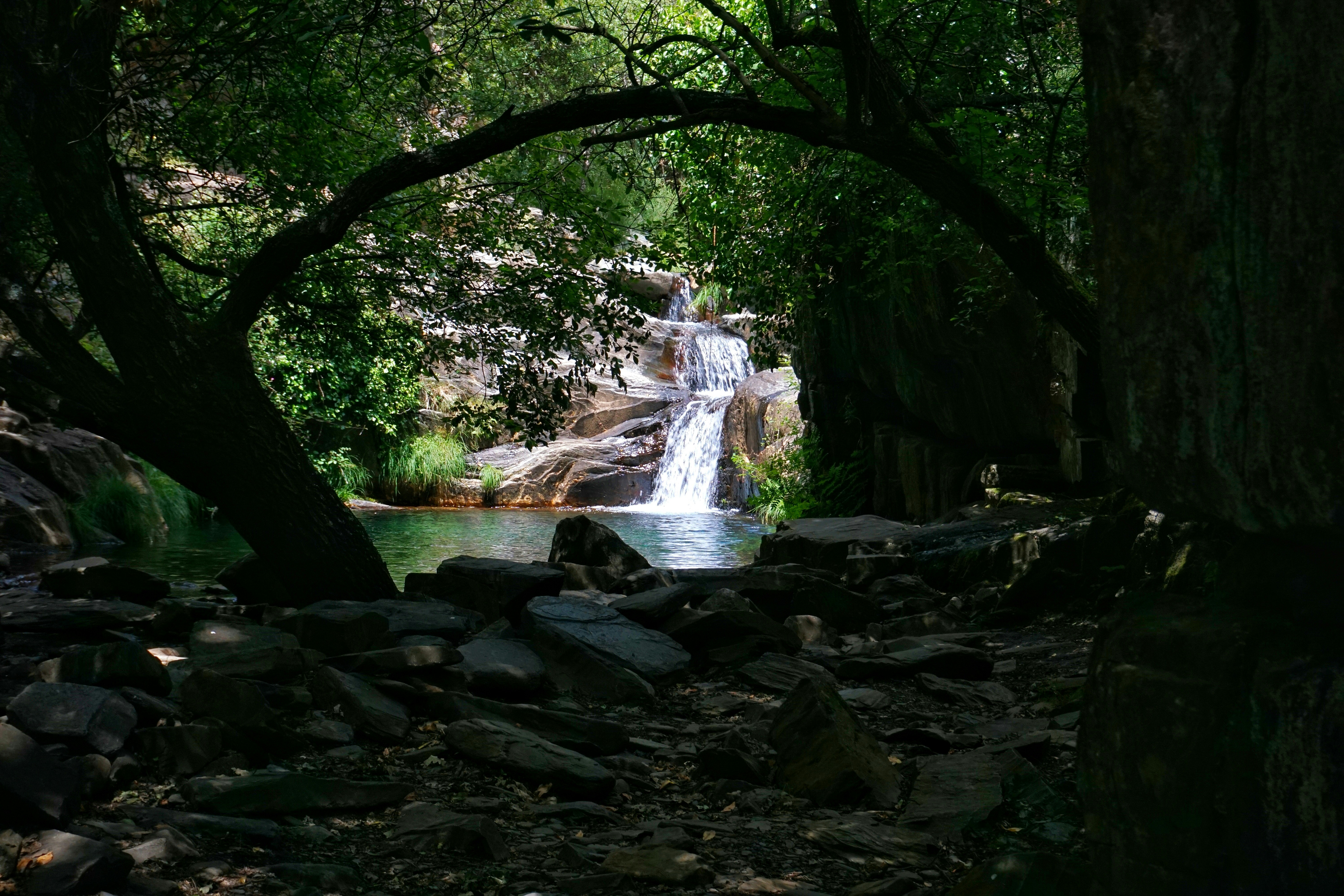 Tranquil waterfall cascading into a serene pool, framed by lush greenery and rocky terrain.