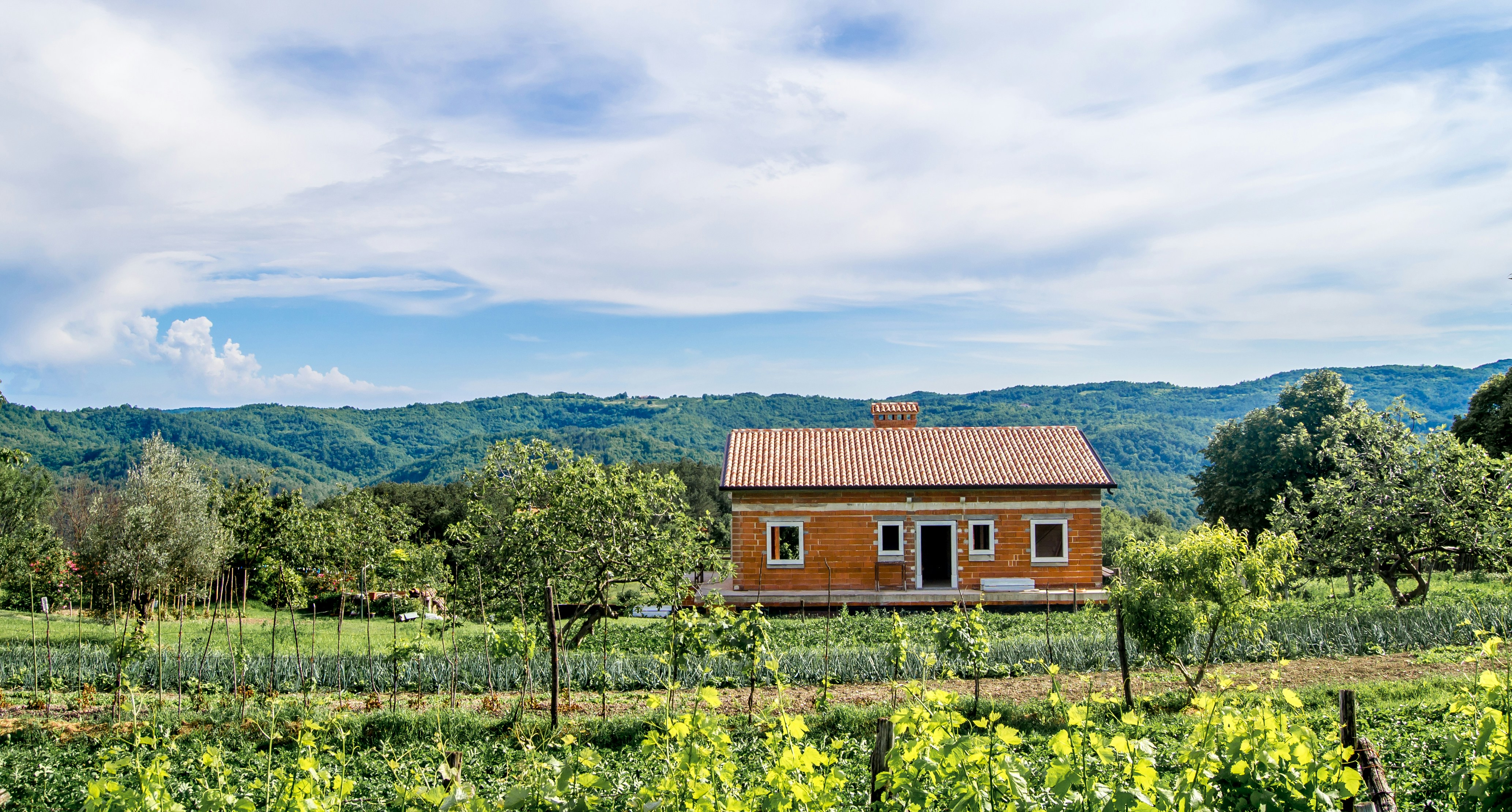 A charming wooden house nestled in a lush green landscape, surrounded by trees and rolling hills under a bright blue sky.