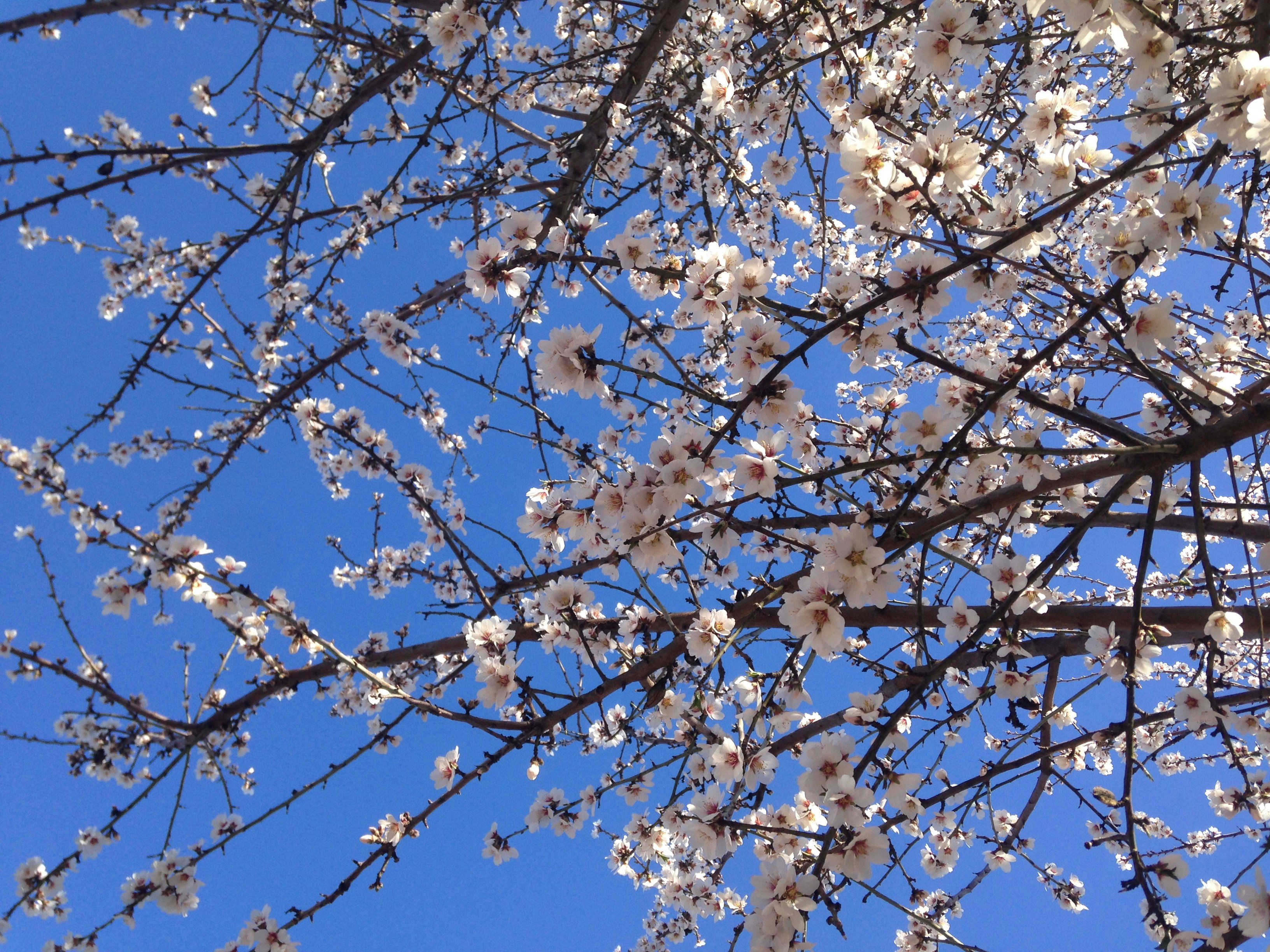 D'Angel Barnhart (@noicedangel) | Unsplash Photo Community