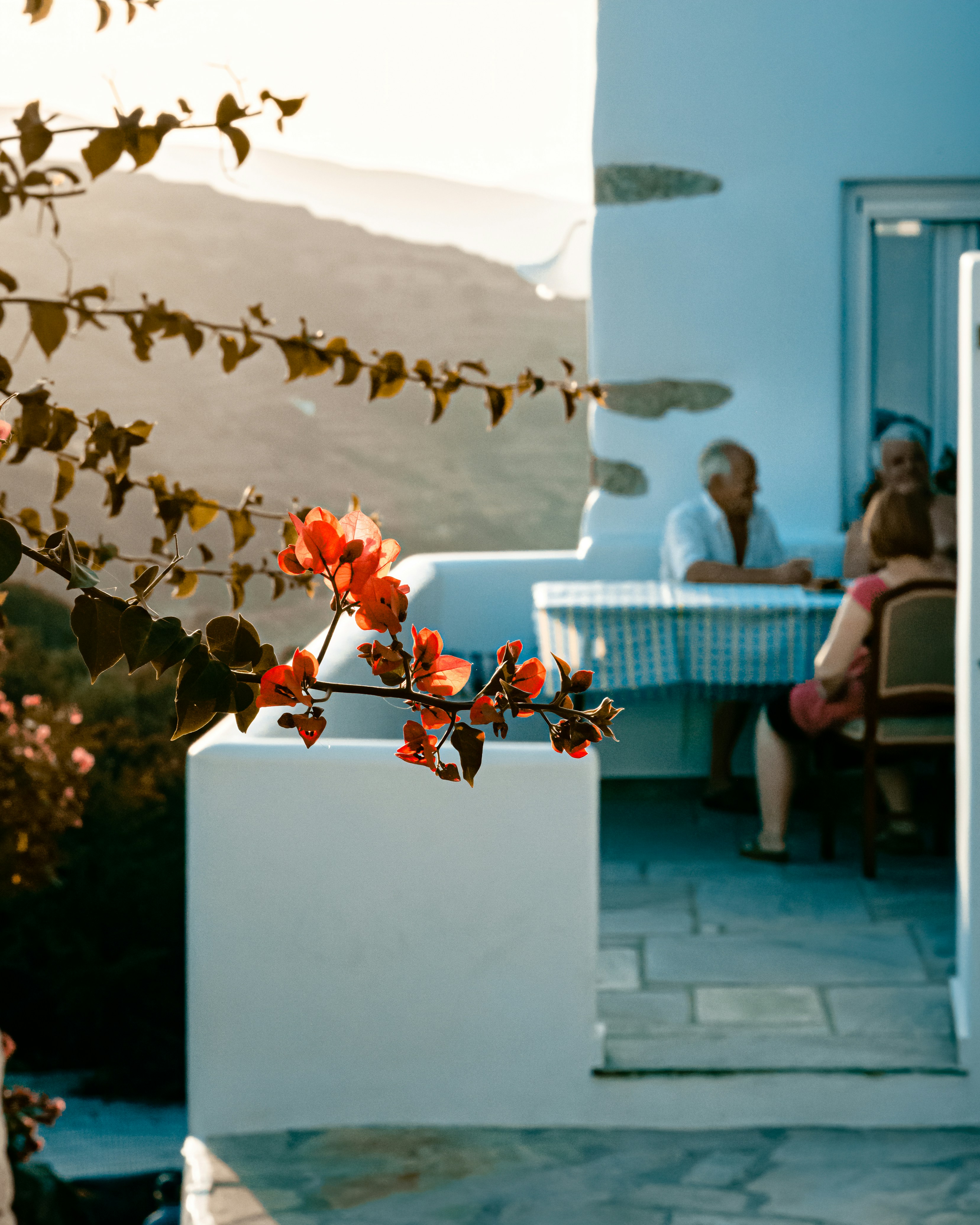 Bougainvillea in Focus Over a Mediterranean Café Terrace