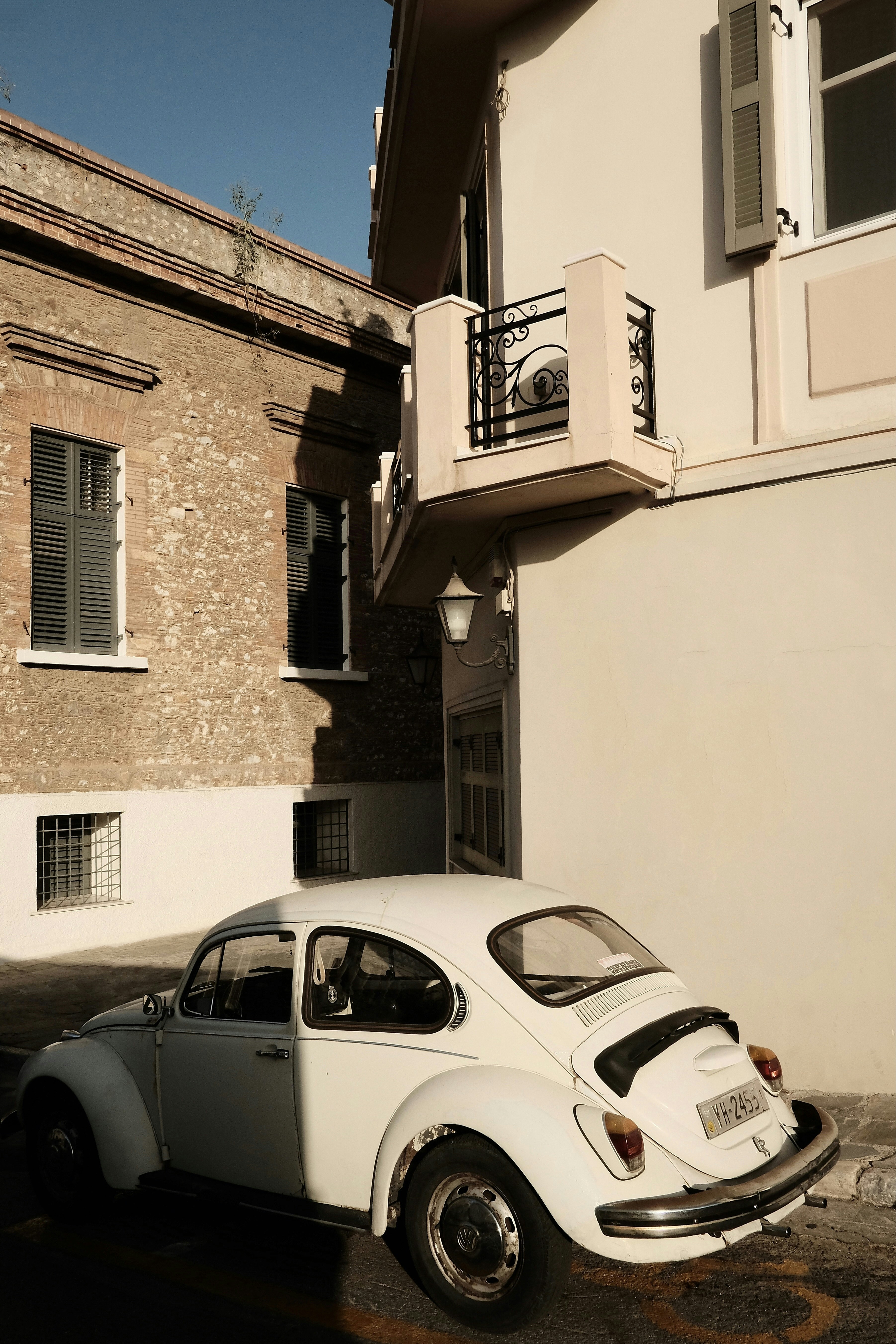 Sunlit Courtyard Beetle: A Quiet Moment Between Brick and Balcony