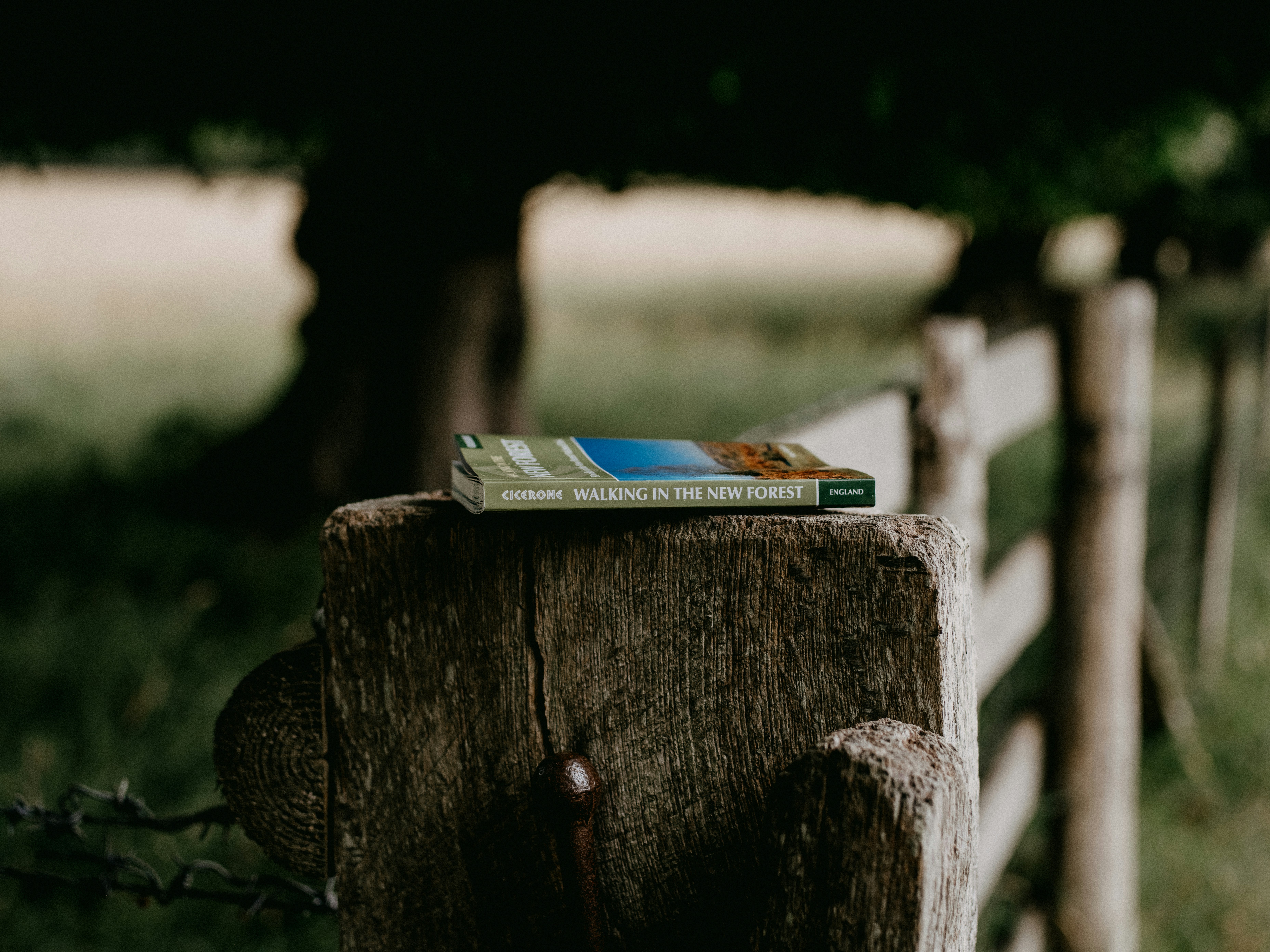 Weathered Fencepost Horizon: A Book Rest Beneath the Shade