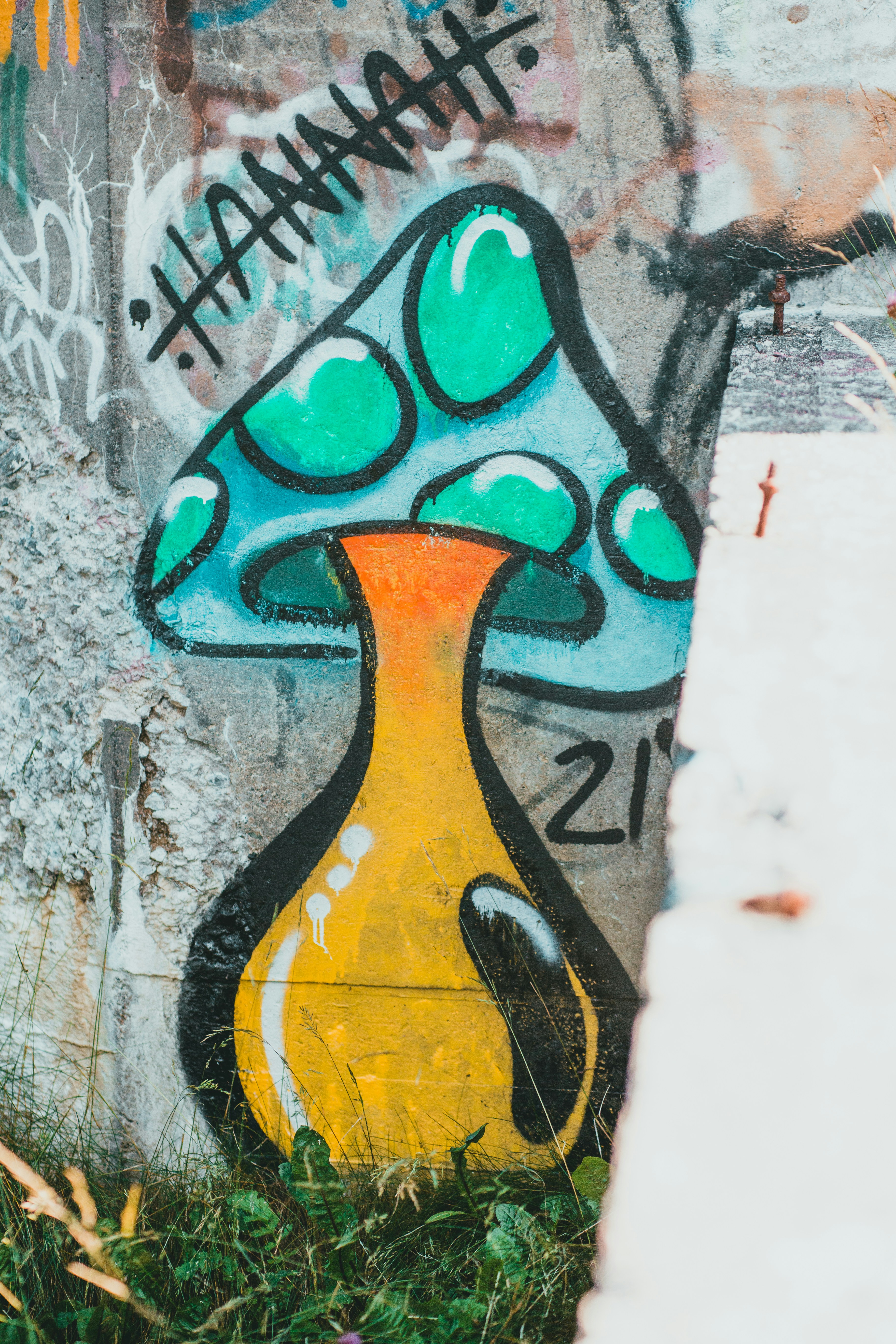 Urban Fungus: Turquoise-Capped Graffiti Mushroom on Weathered Wall