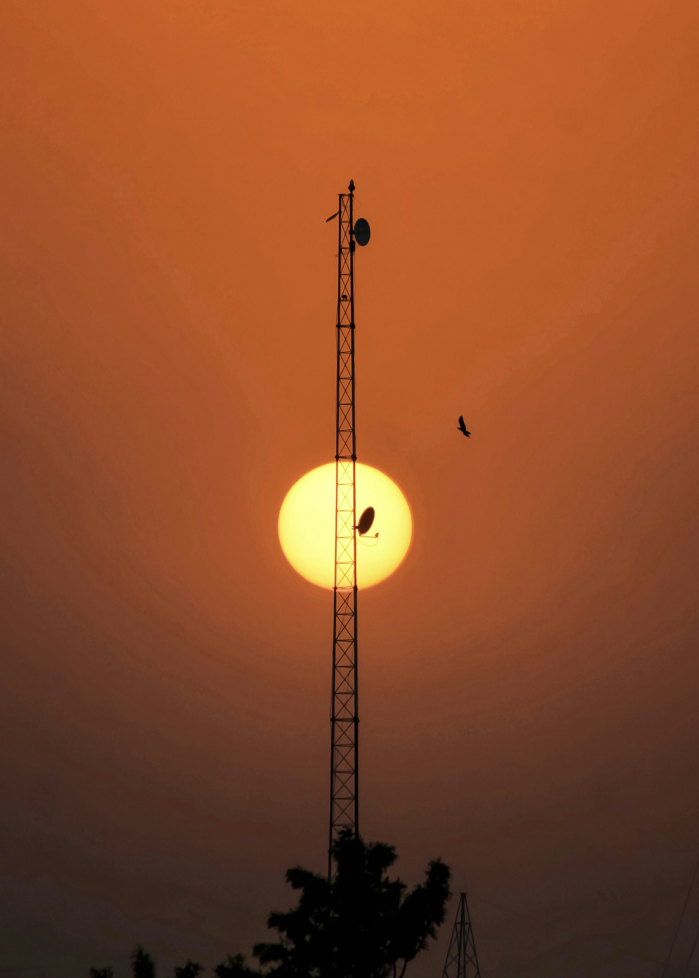 Midst of a sunset