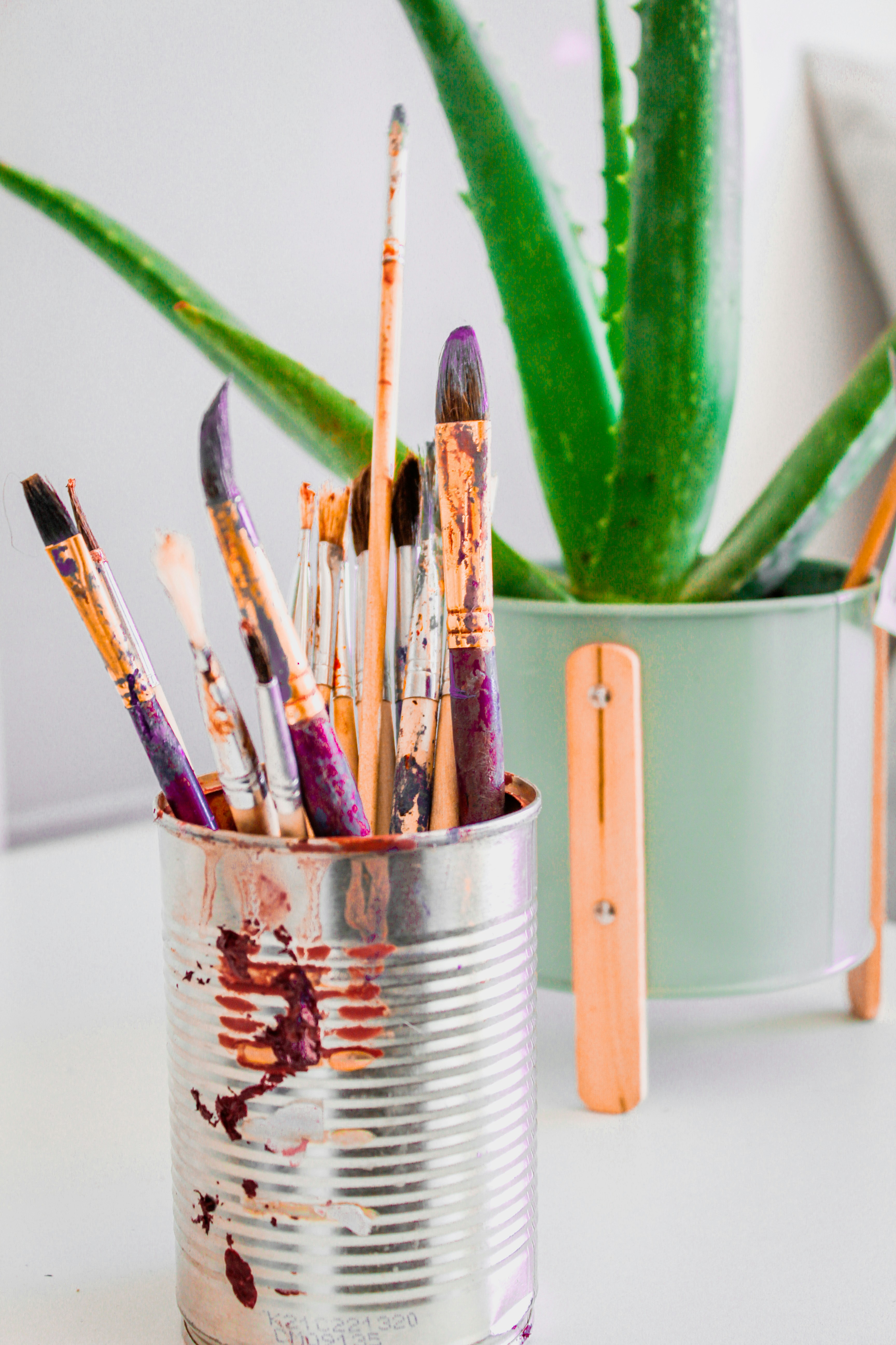 Paint brushes and a Plant