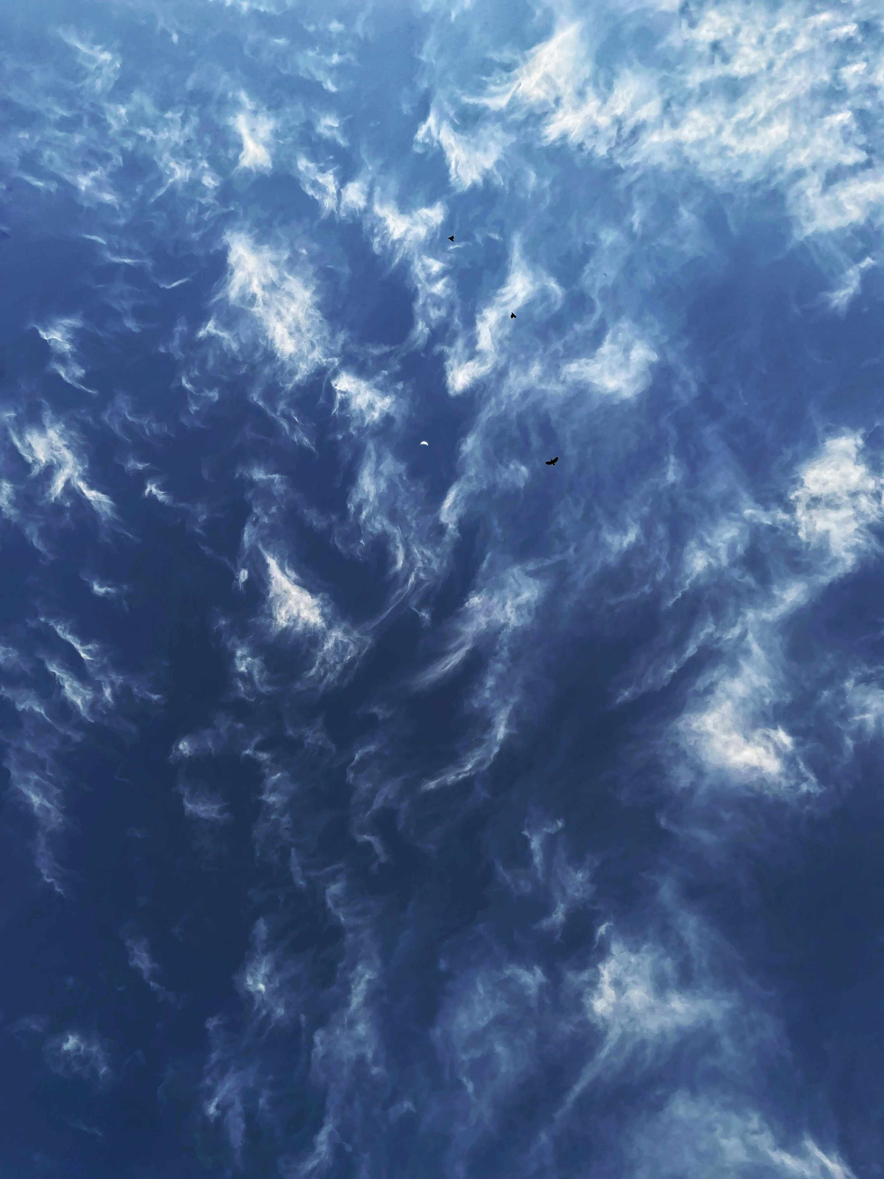 Ranjith Jaya (@ranjith_12) | Comunidade de fotos da Unsplash