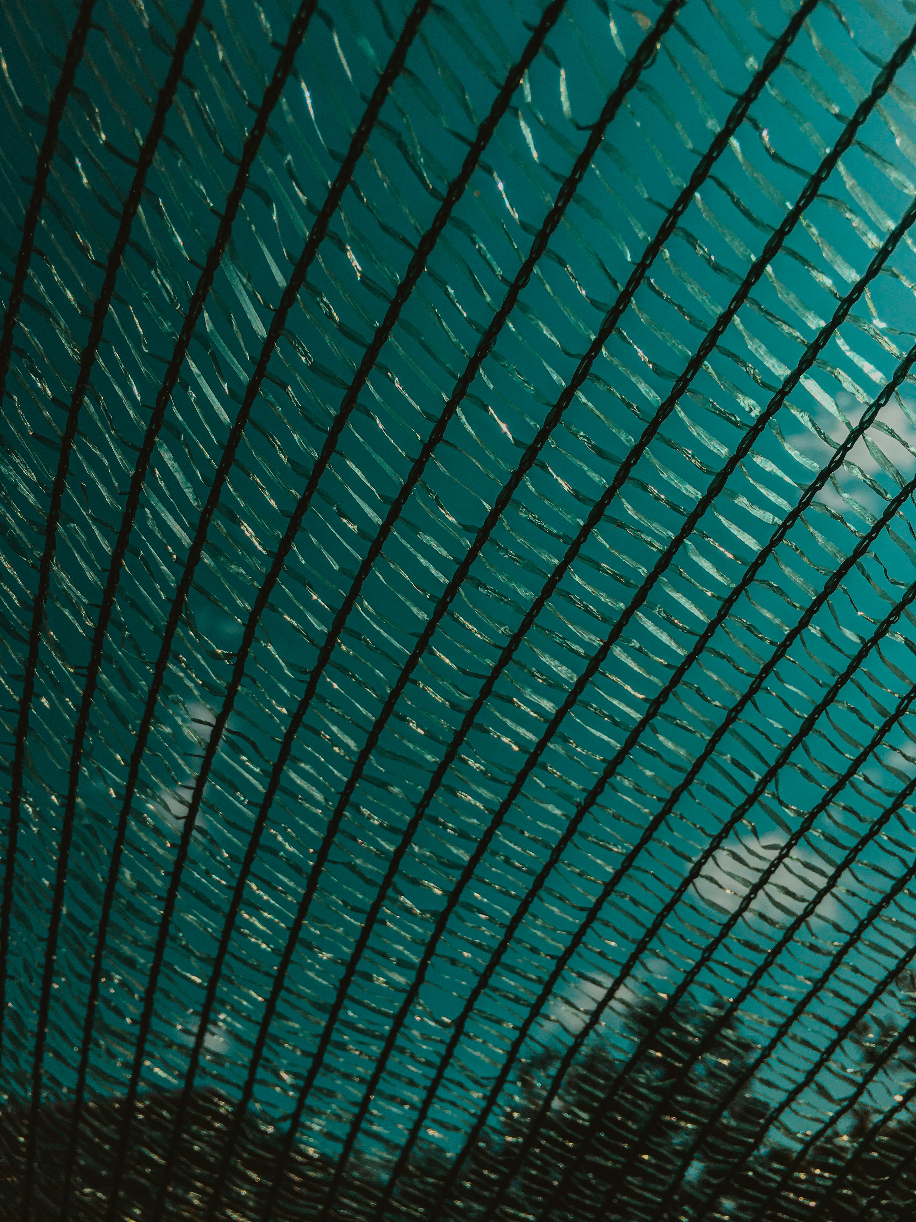 Intricate netting casts a geometric pattern against a vibrant sky, revealing glimpses of clouds and foliage below.