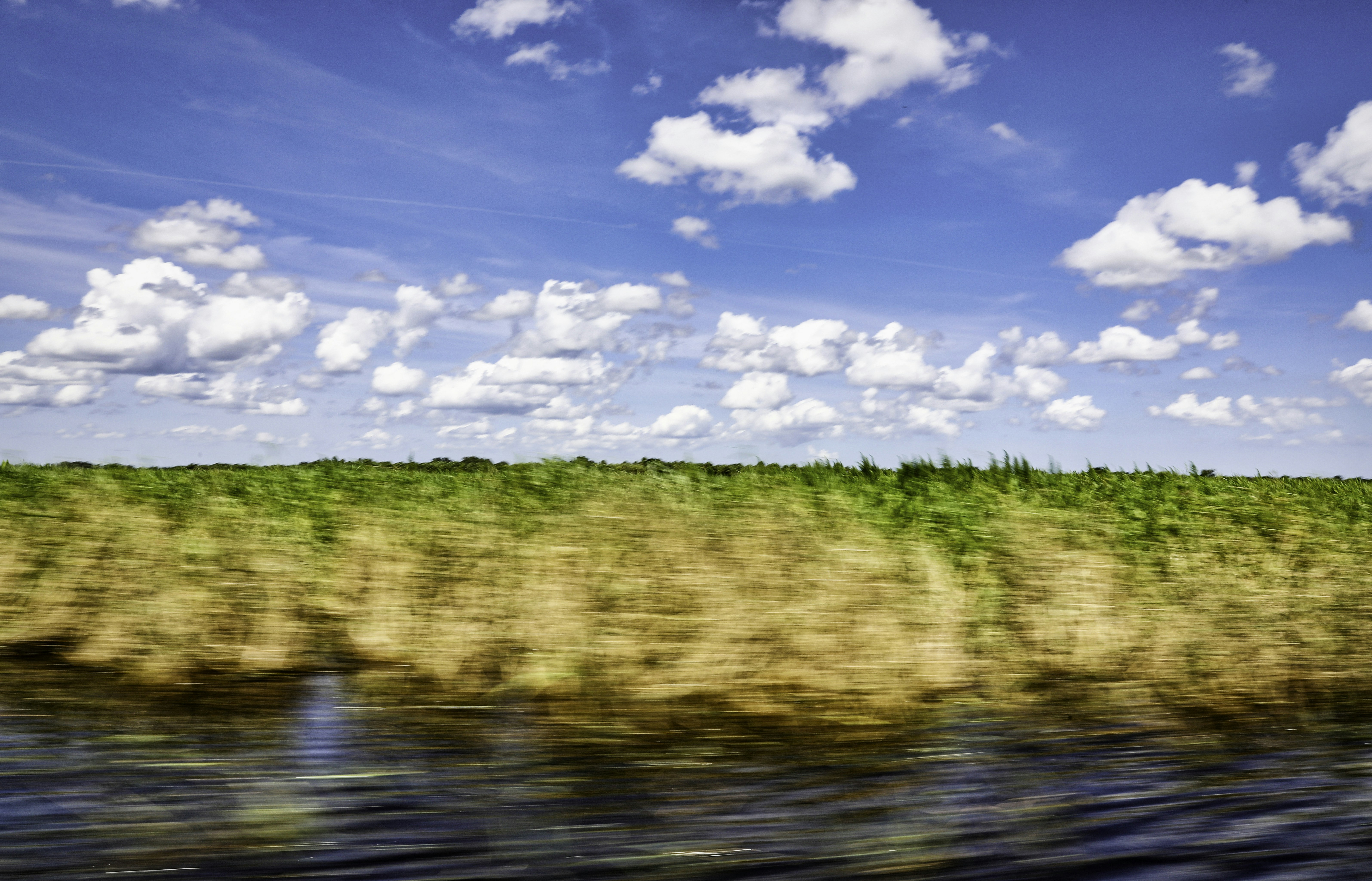 Lush green marshland blurs against a vibrant blue sky dotted with fluffy clouds, captured in motion along a waterway.