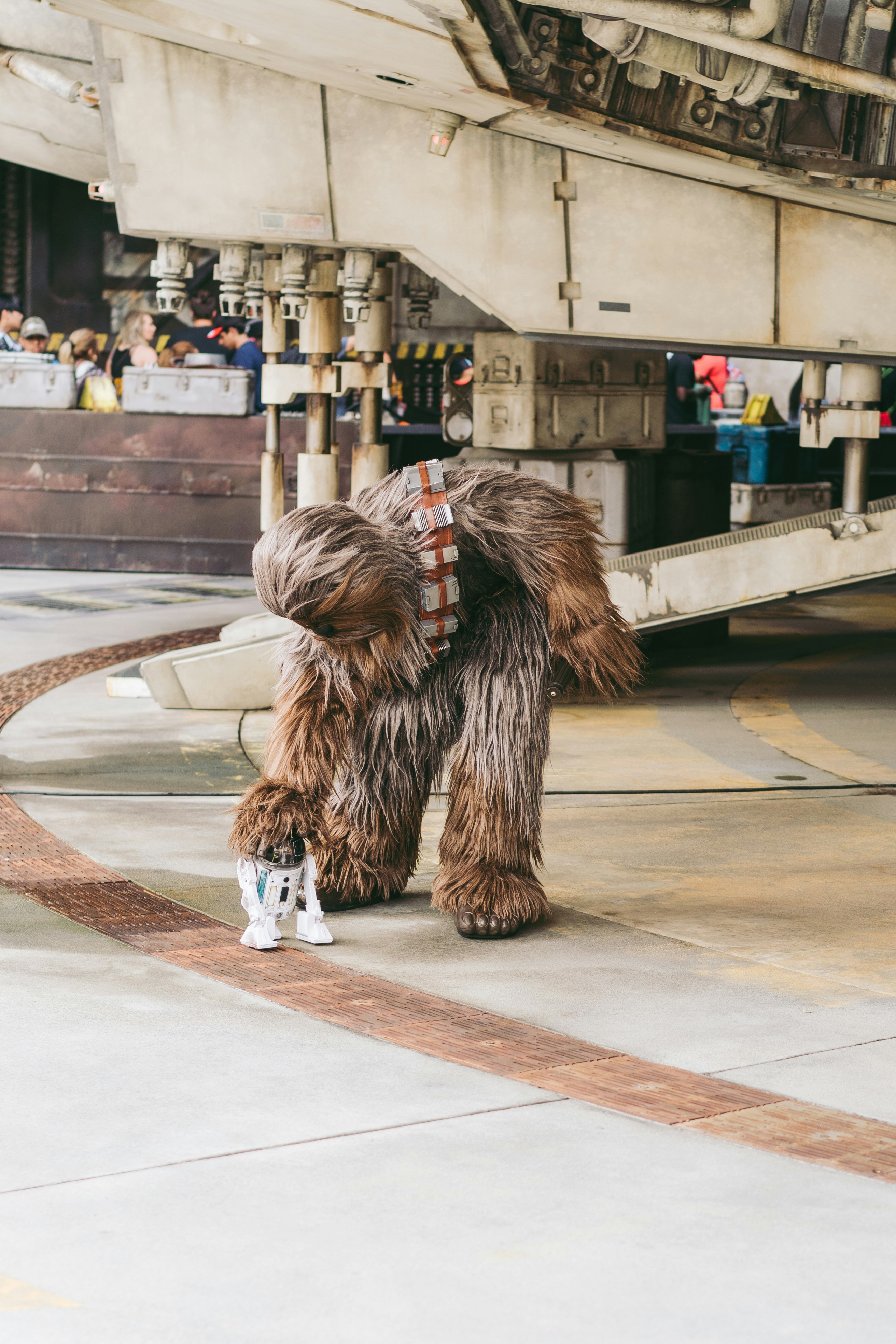 Star Wars Chewba Photos | Télécharger des images gratuites sur Unsplash