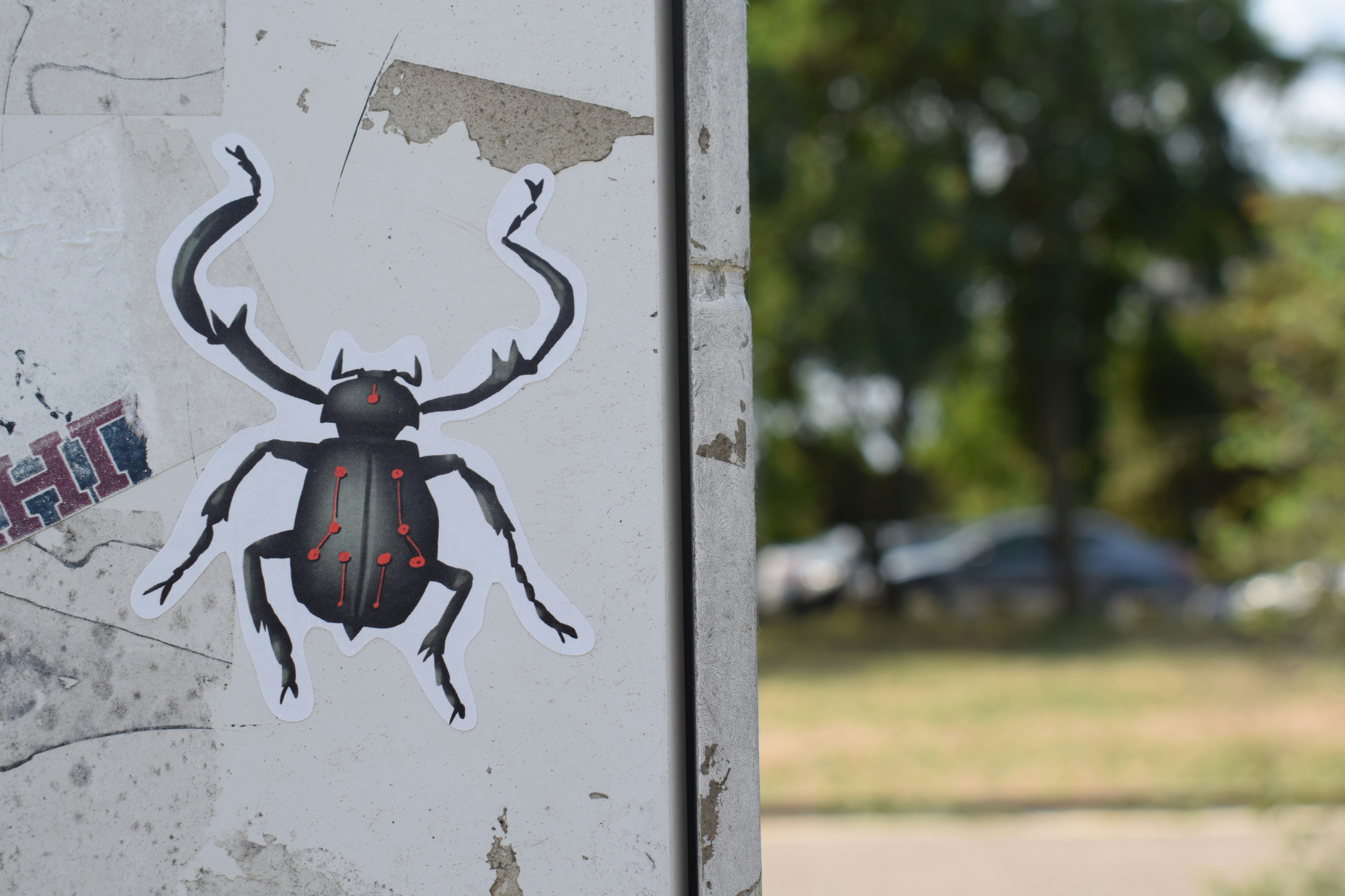 Urban Scarab on Weathered Steel: A Sticker Study