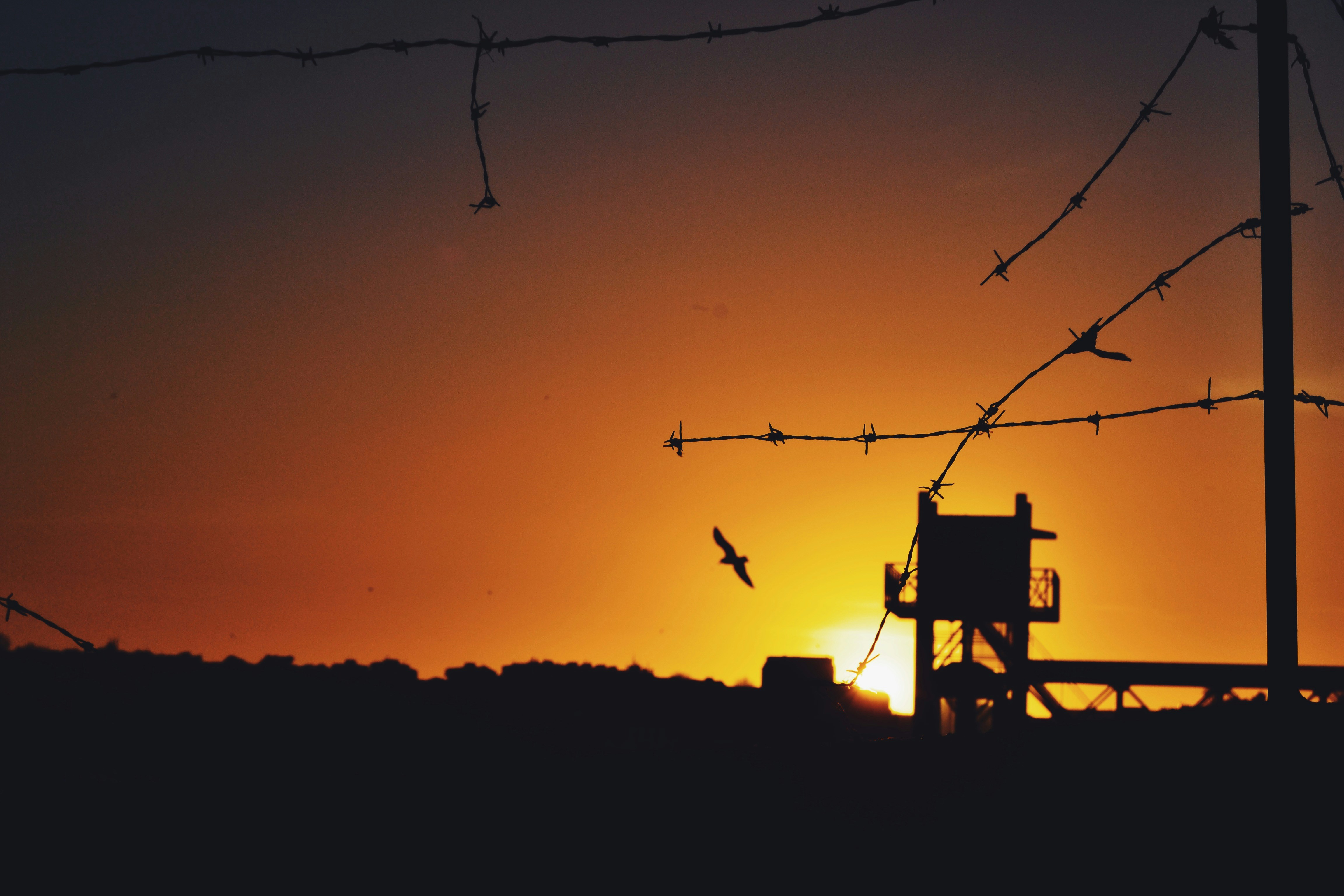 Wilkins Morales (@wilksmalone) | Unsplashフォトコミュニティ