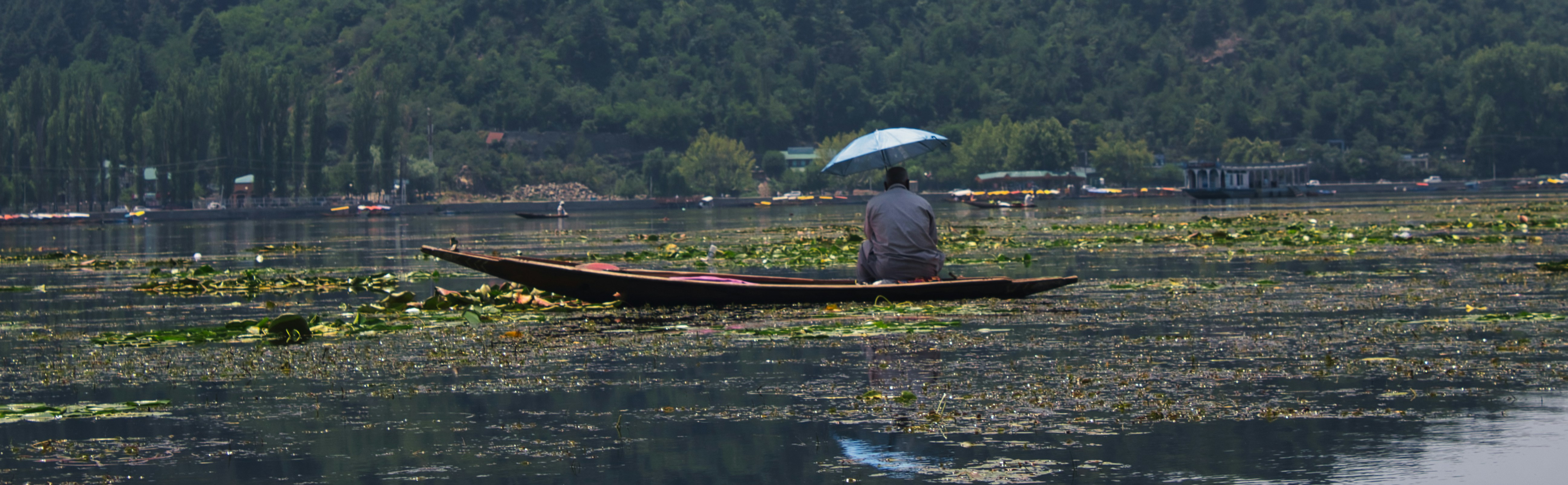 Tranquil Reflections on a Serene Lake
