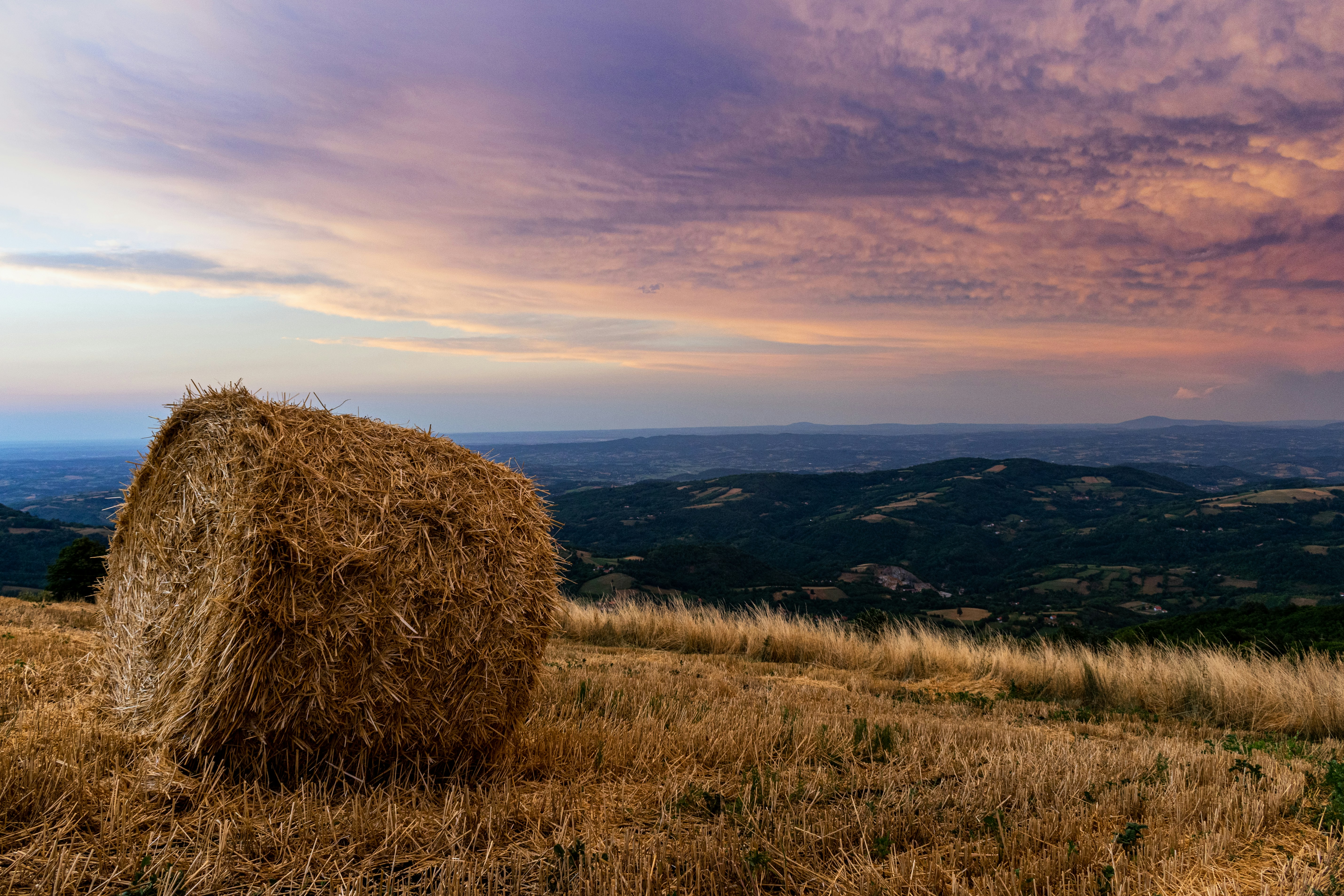 Twilight Over the Harvested Hills